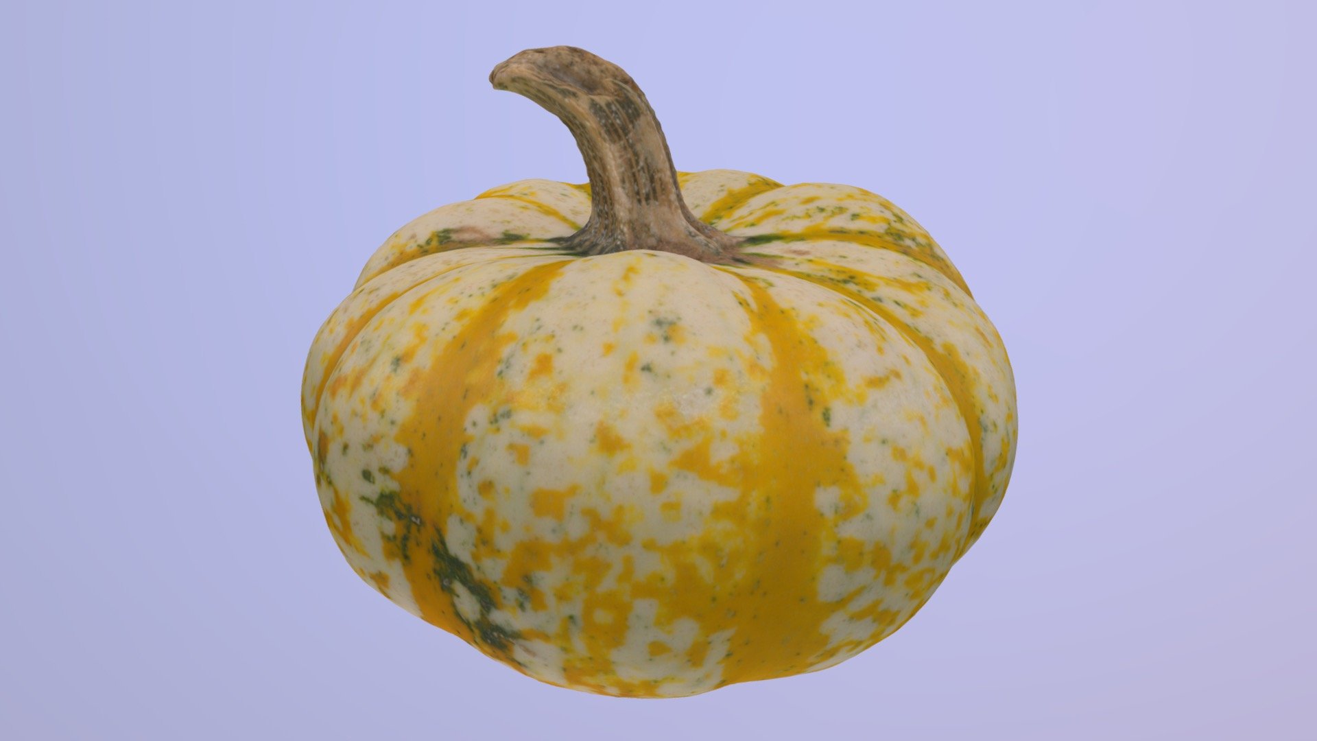 Pumpkin 2 - 3D model by Stance Hurst (@Cacti3D) [53fc1c9] - Sketchfab
