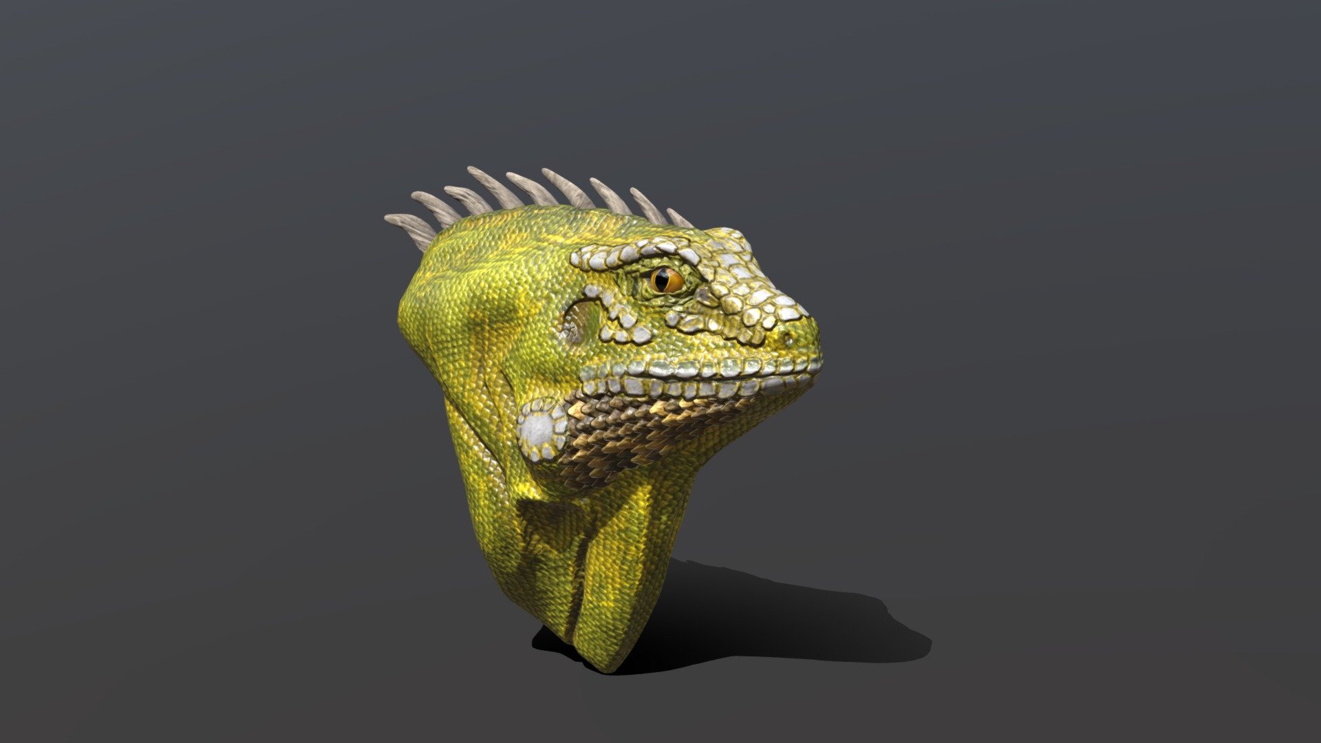 Lizardhead - 3D model by brian9836gr [54012a6] - Sketchfab