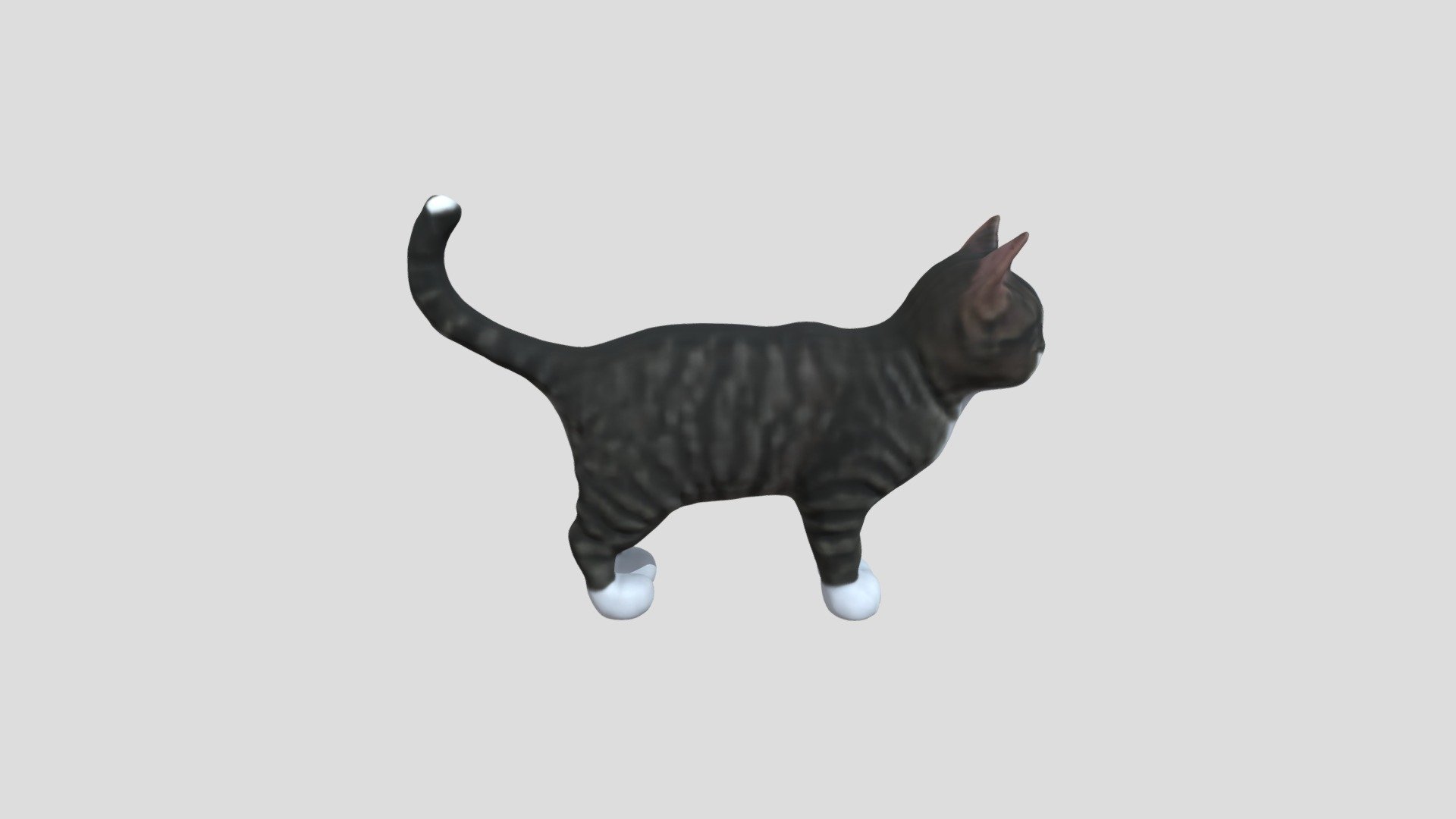 gato - Download Free 3D model by tomas.garcia.2453 [541e65e] - Sketchfab