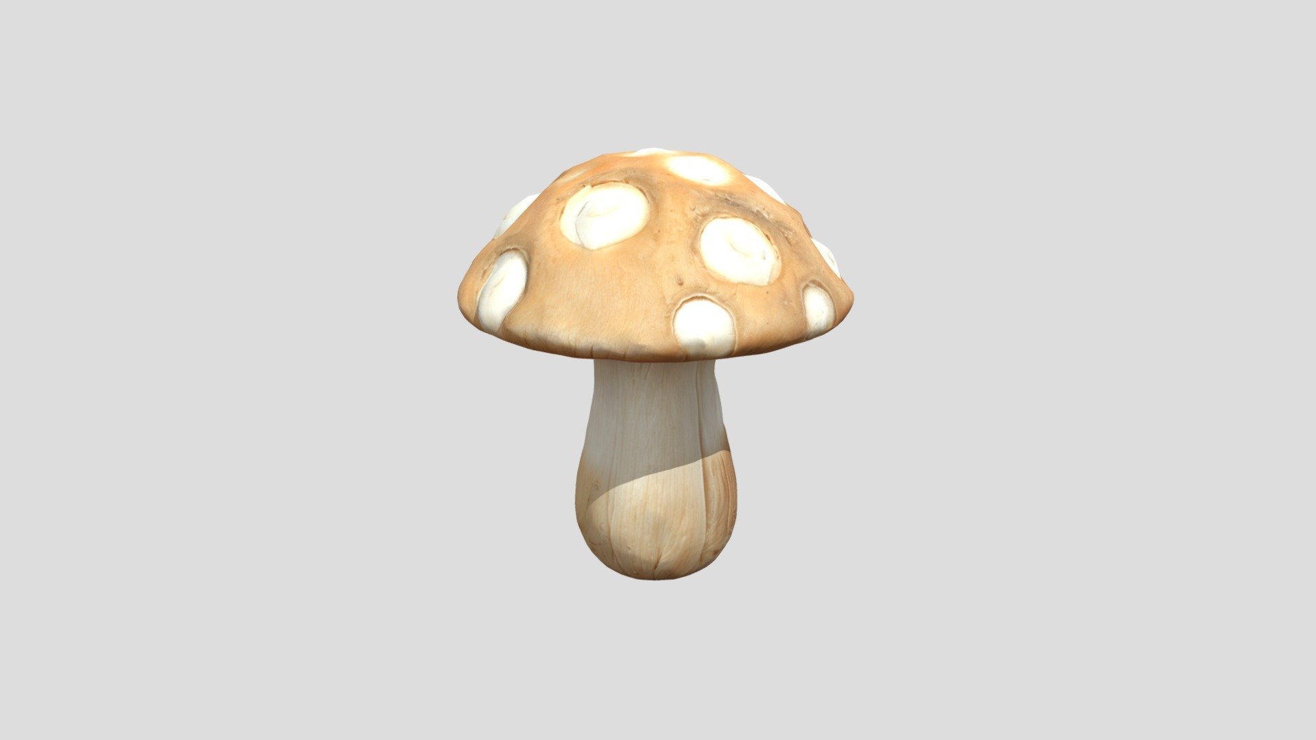 Mushroom - 3D model by Lylianawray [541e9cc] - Sketchfab