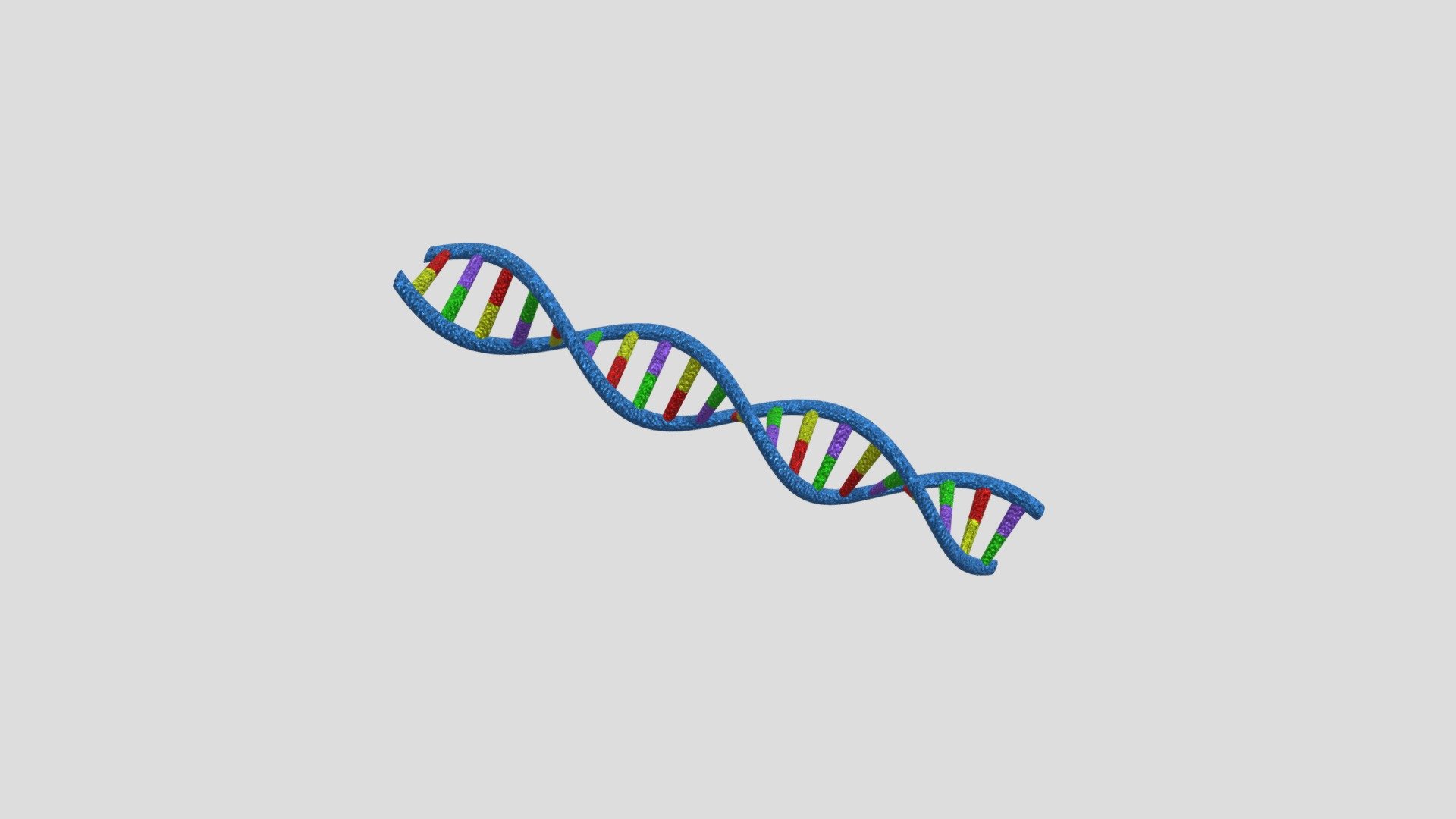DNA - Download Free 3D model by YMLF (@ymlaudaf2802) [5420aa8] - Sketchfab