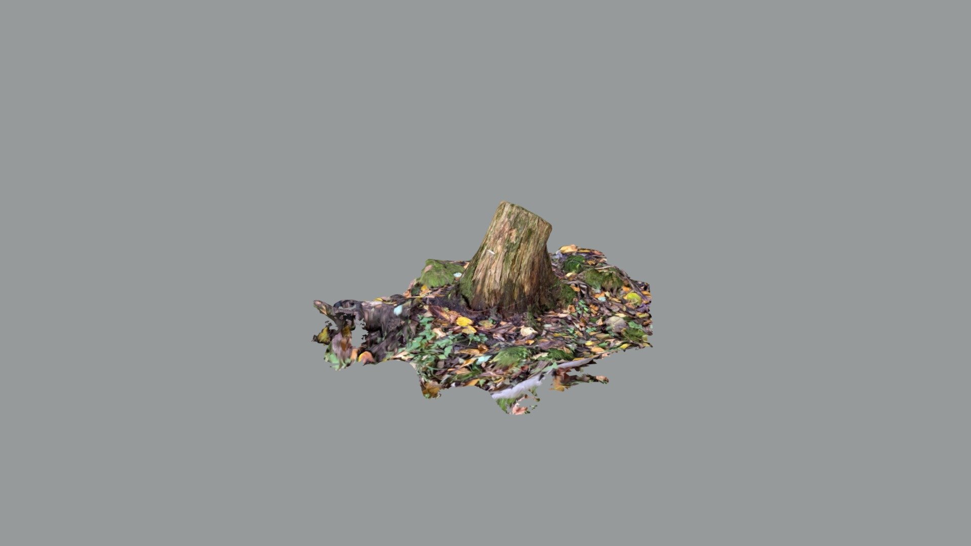 Celms - Download Free 3D model by tribeimmersive [54273fa] - Sketchfab