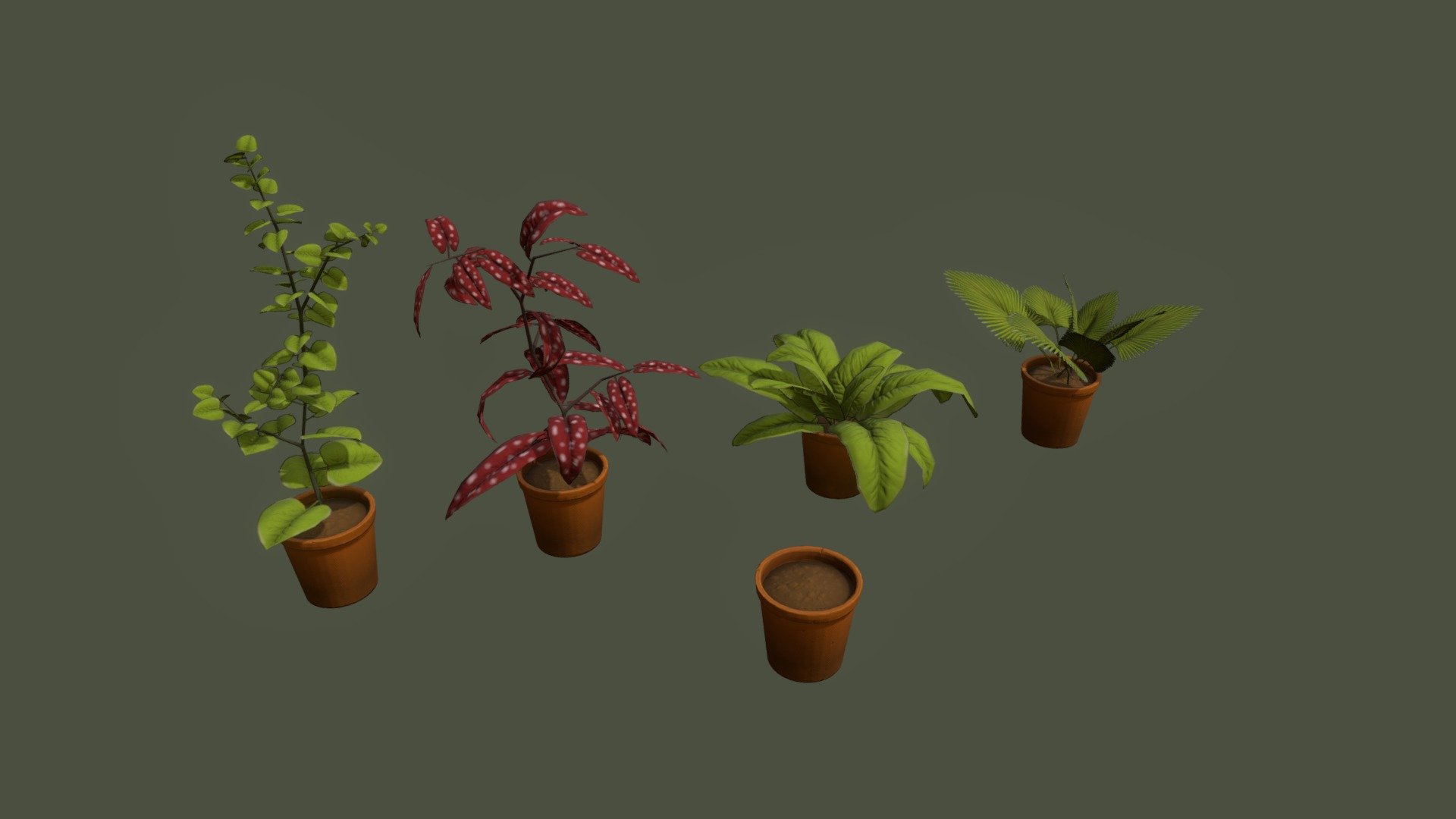 Potted Flowers - 3D model by Solear [542ad00] - Sketchfab