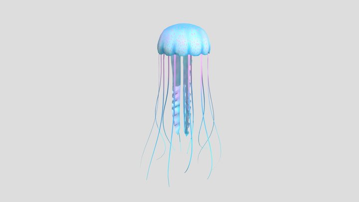 Underwater 3D models - Sketchfab