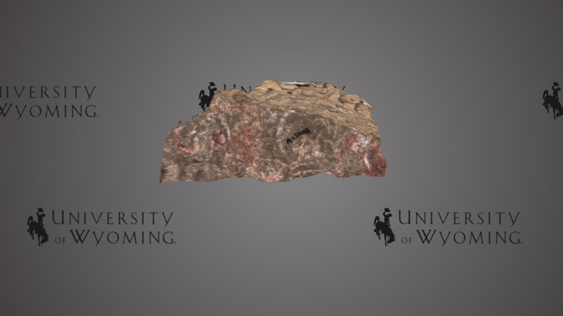 UWG A12405 A - Download Free 3D model by University of Wyoming ...
