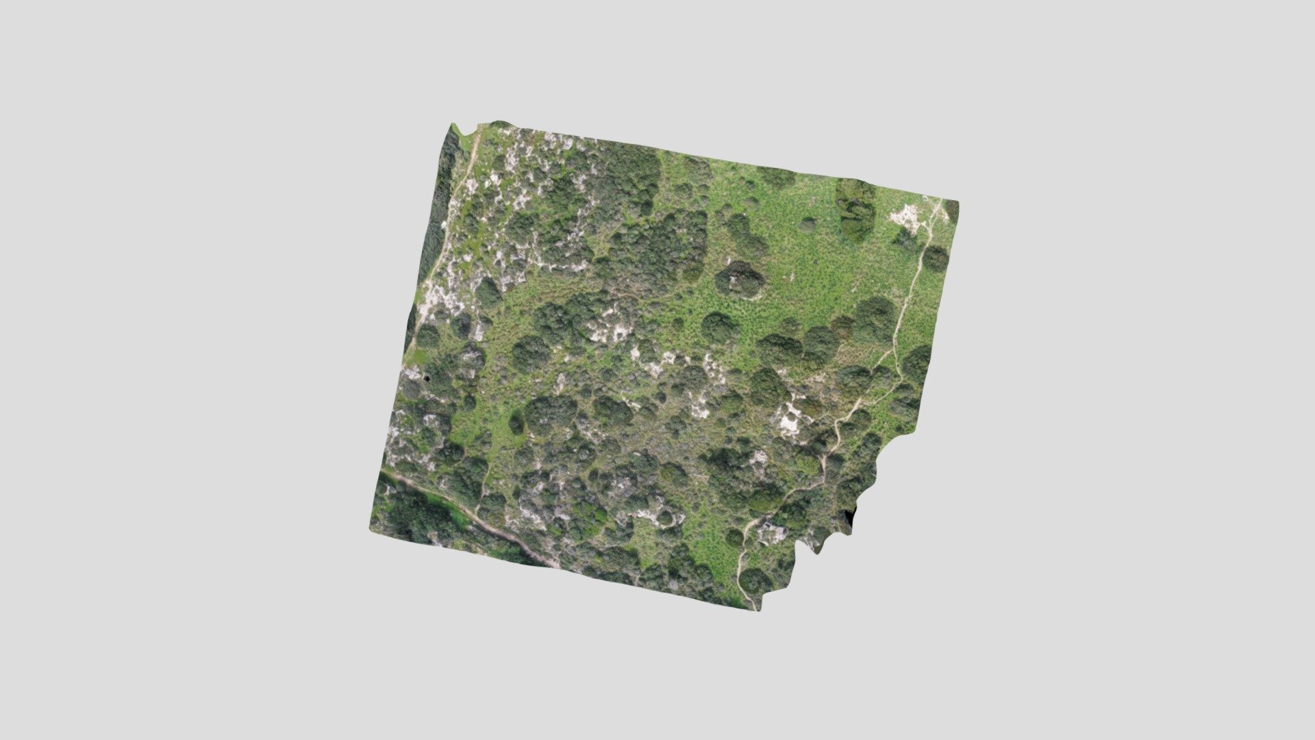 scene_mesh_textured - 3D model by Rachamim.Shem.Badui.Eiloz [543cee1 ...