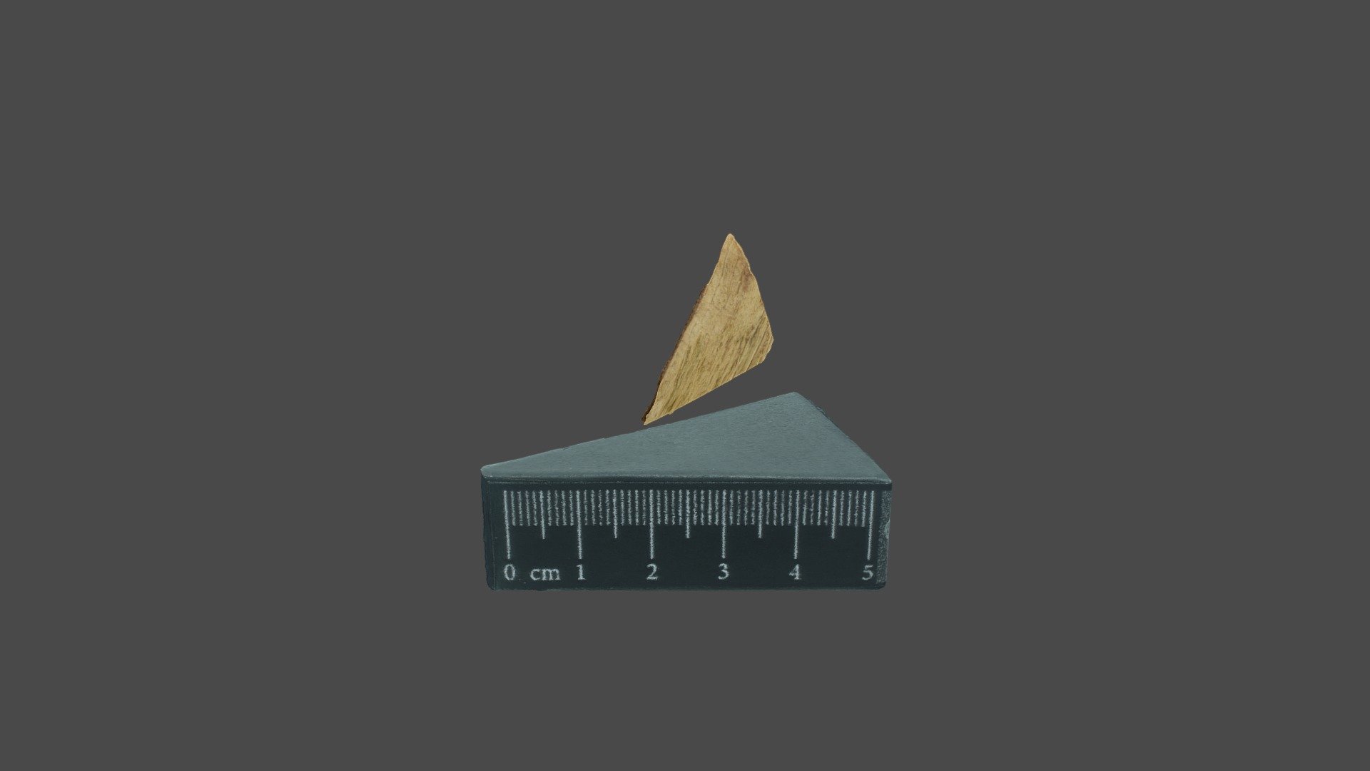 รากแจง scale bar - Download Free 3D model by 65201101047 [54431de ...