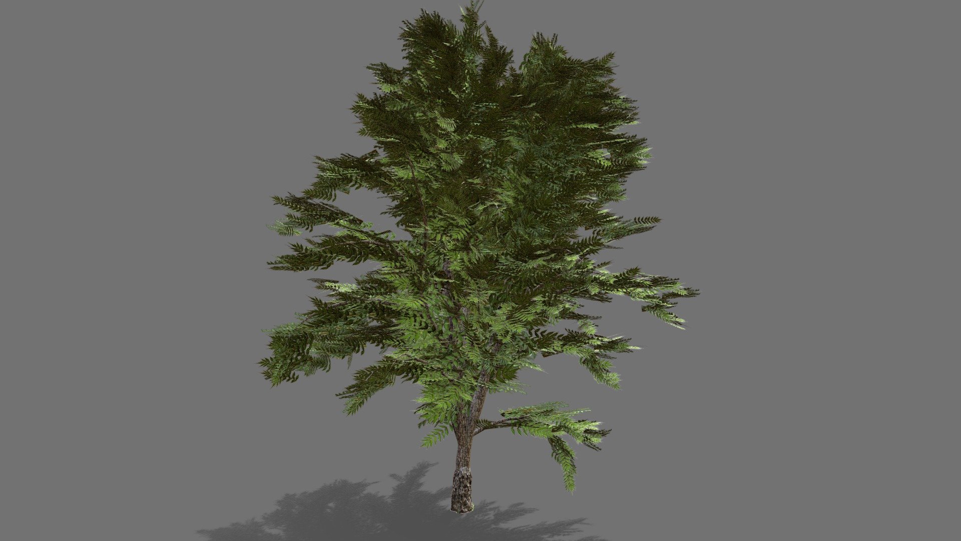 Rigged, Animated Cinematic quality tree 4 - Download Free 3D model by ...