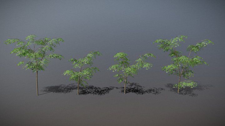 Nature 3D models - Sketchfab