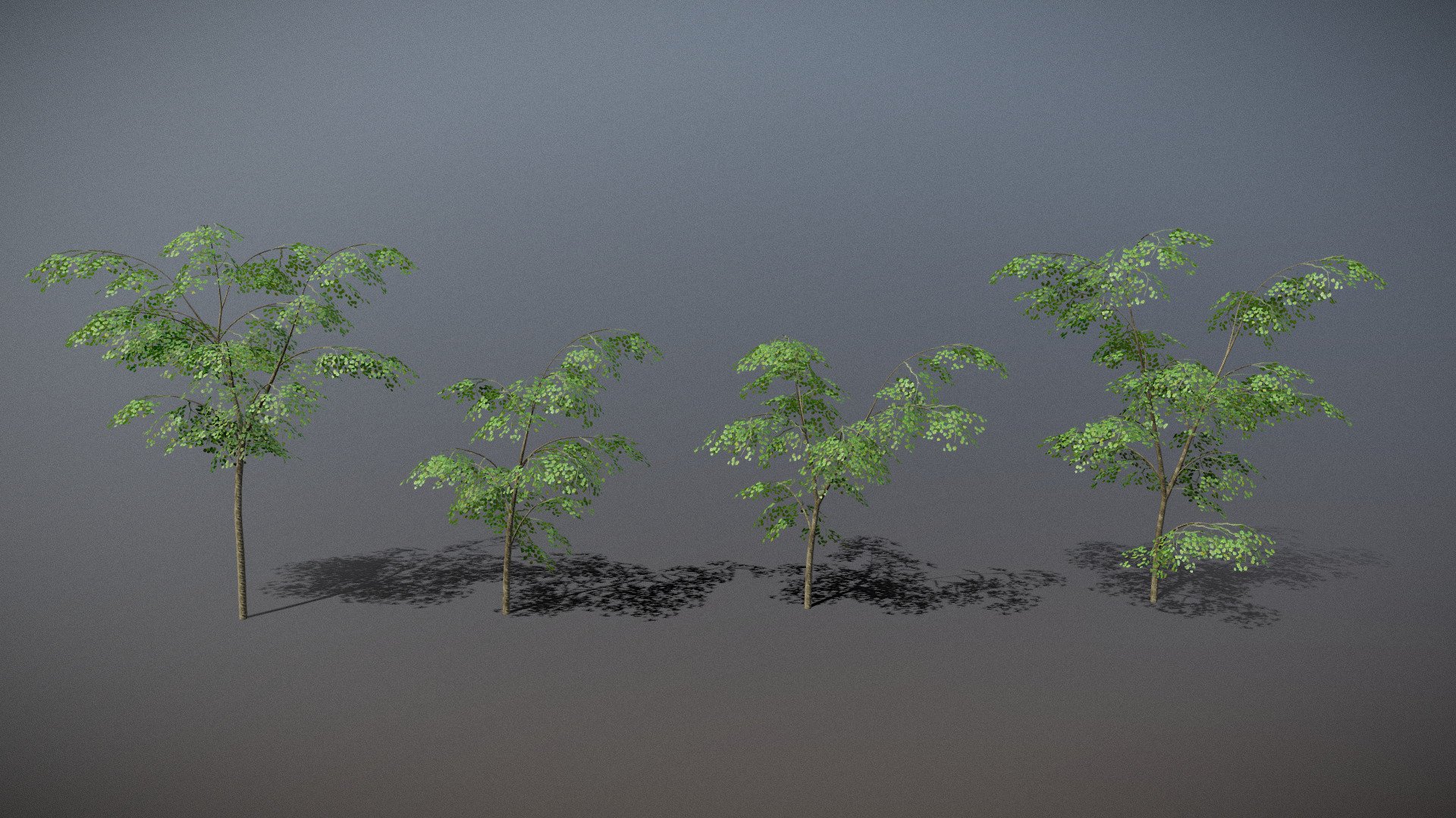 Low Poly Maple Trees - Buy Royalty Free 3D model by Jagobo [54455c3 ...