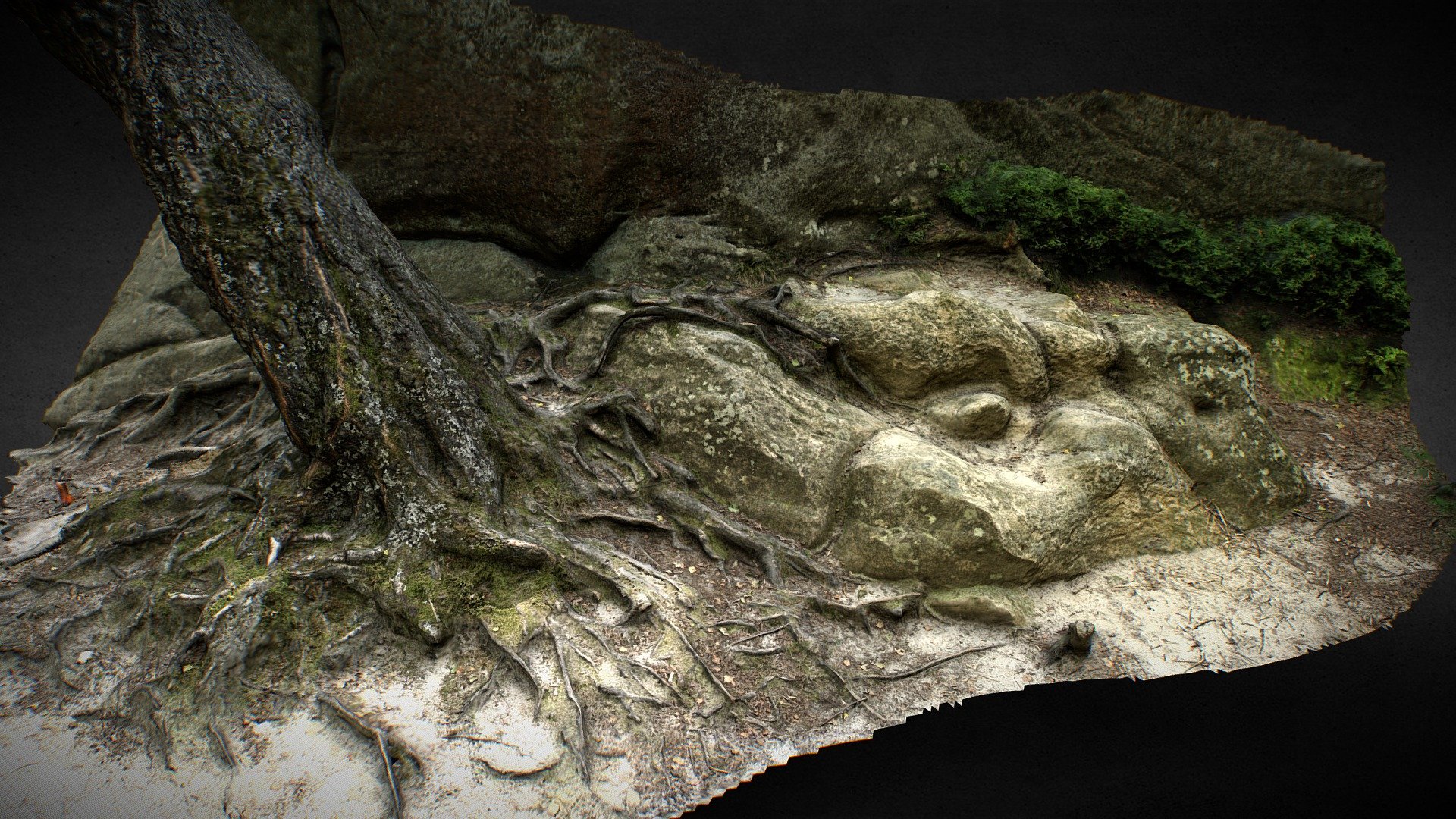 Tree and stone - Download Free 3D model by Zygomir.Fabricati.Diem ...
