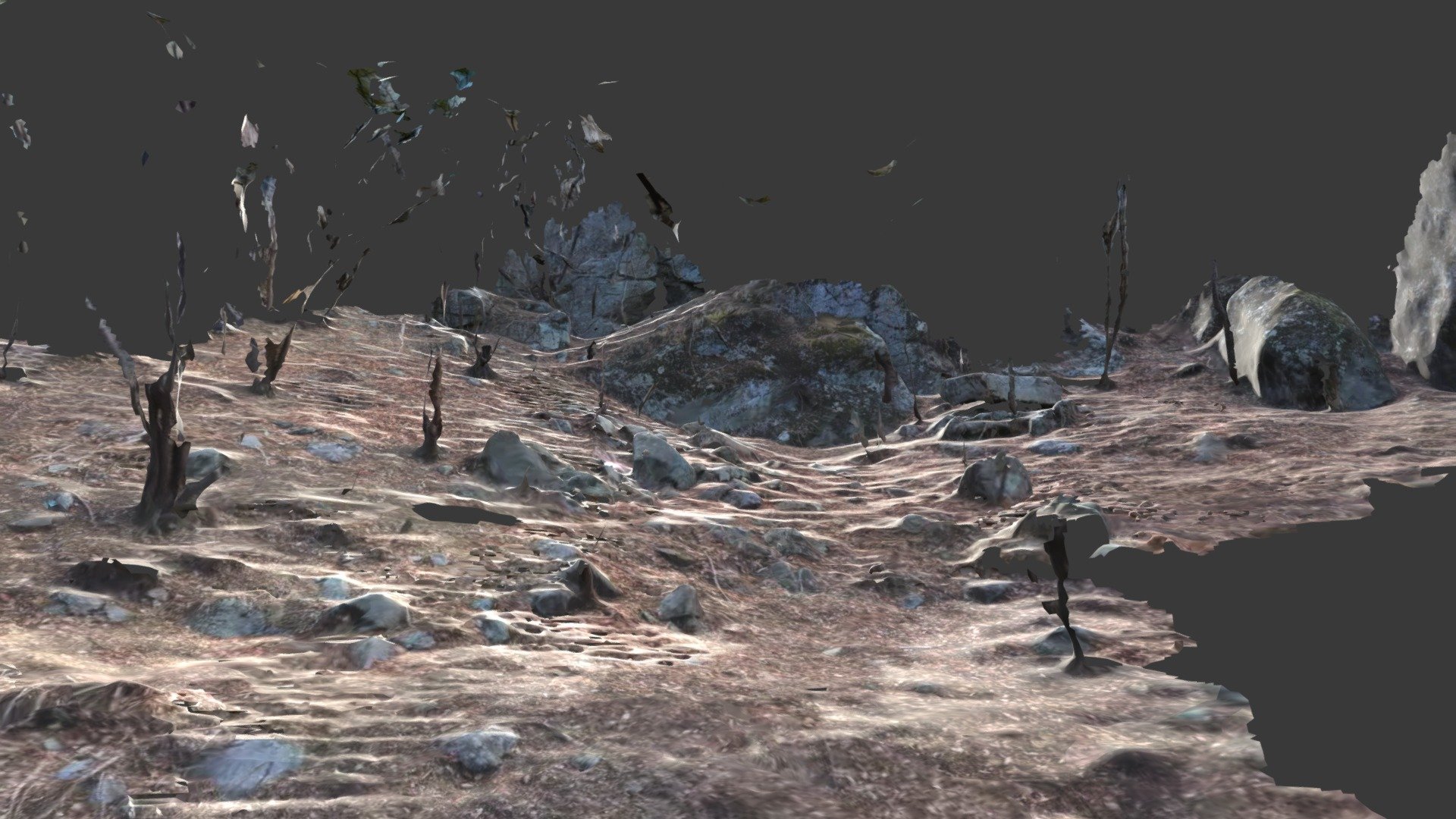 Black Bear Hibernation Site Documentation - 3D model by CupixVista [544a2bb] - Sketchfab