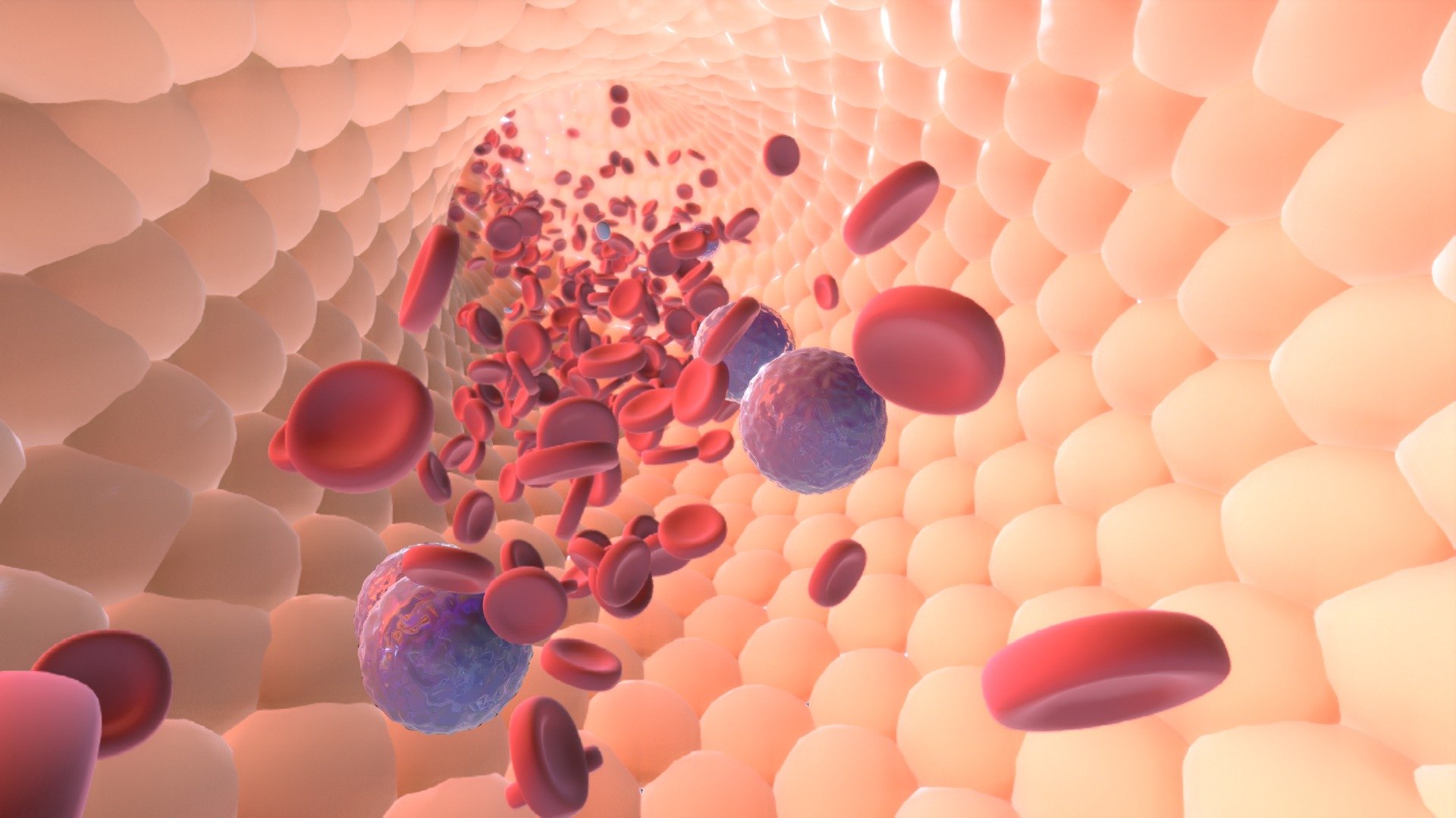 Bloodstream - 3D model by bioilustra [544a2e8] - Sketchfab