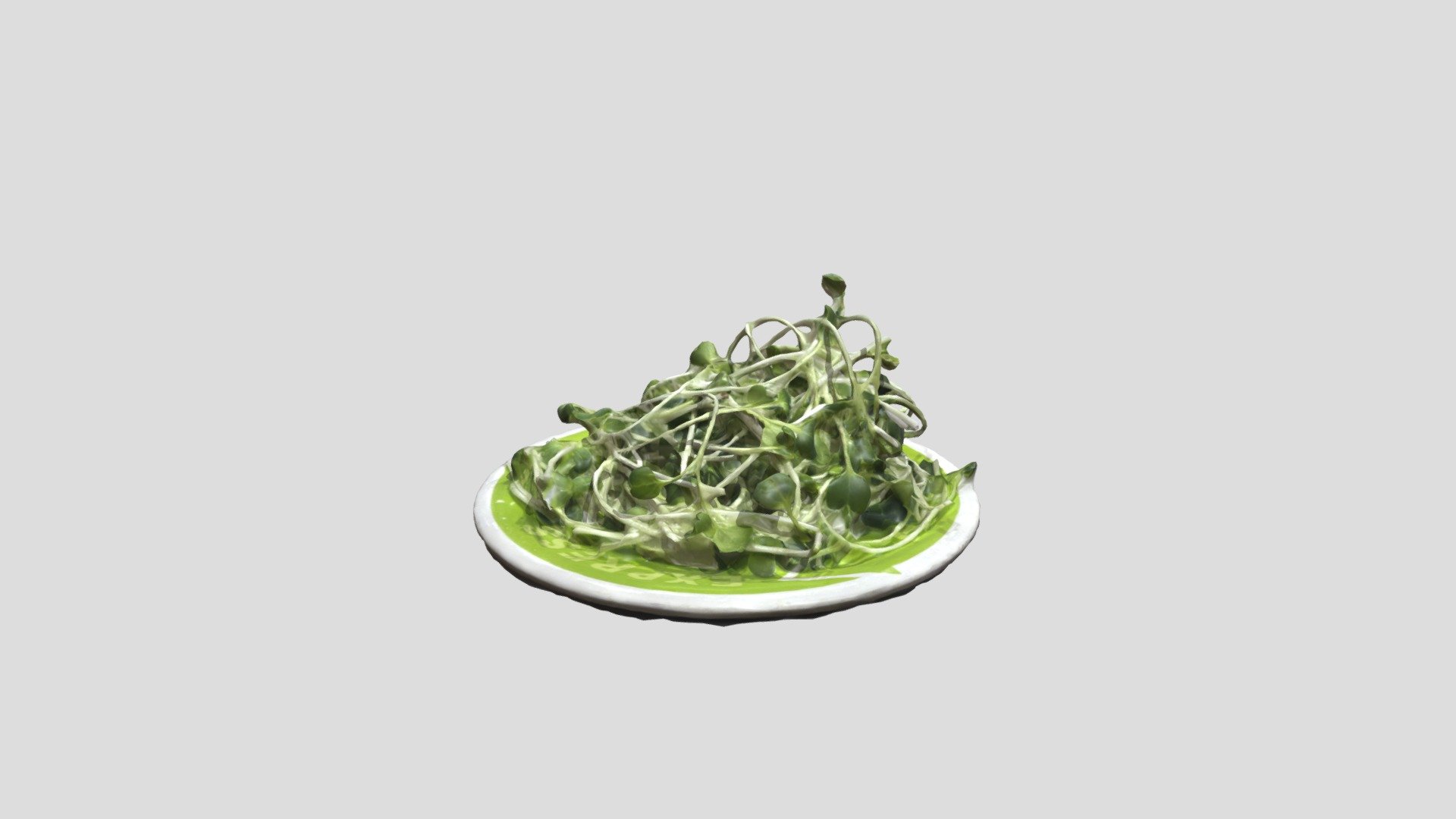 Vegetable from rotary hotspot ( Photogrammetry ) - Download Free 3D ...