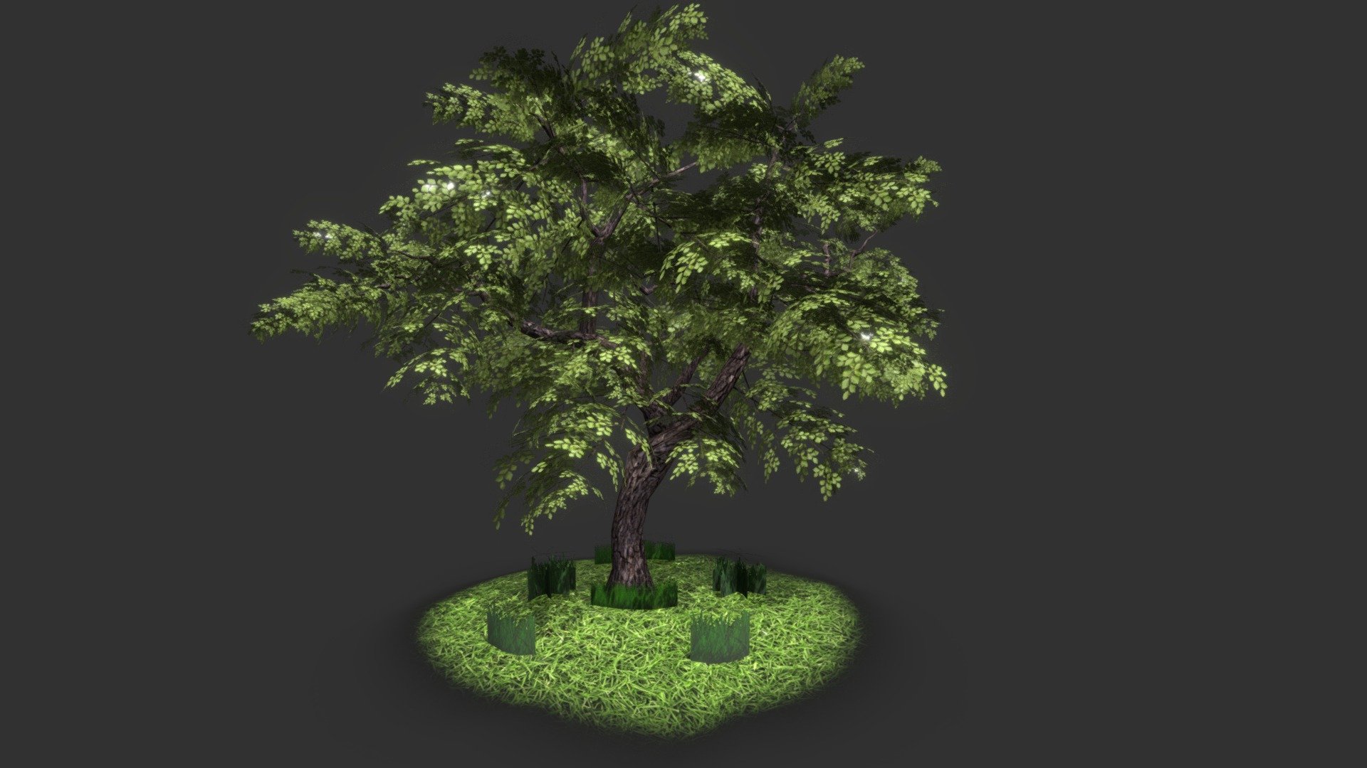 Realistic Tree - 3D model by Sandra BC (@sandyway) [5456658] - Sketchfab