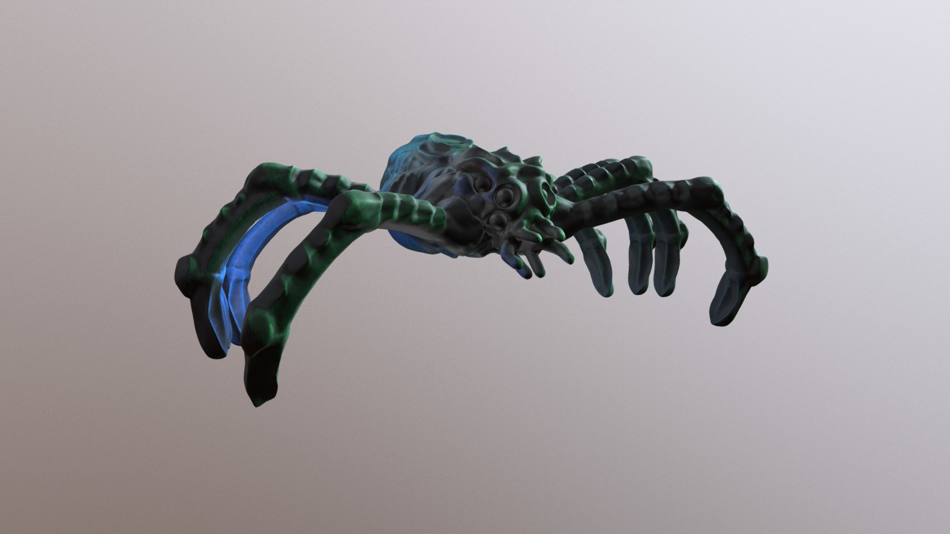 Spider - 3D model by Stefano Di Filippo (@sdfilippo84) [5459618 ...