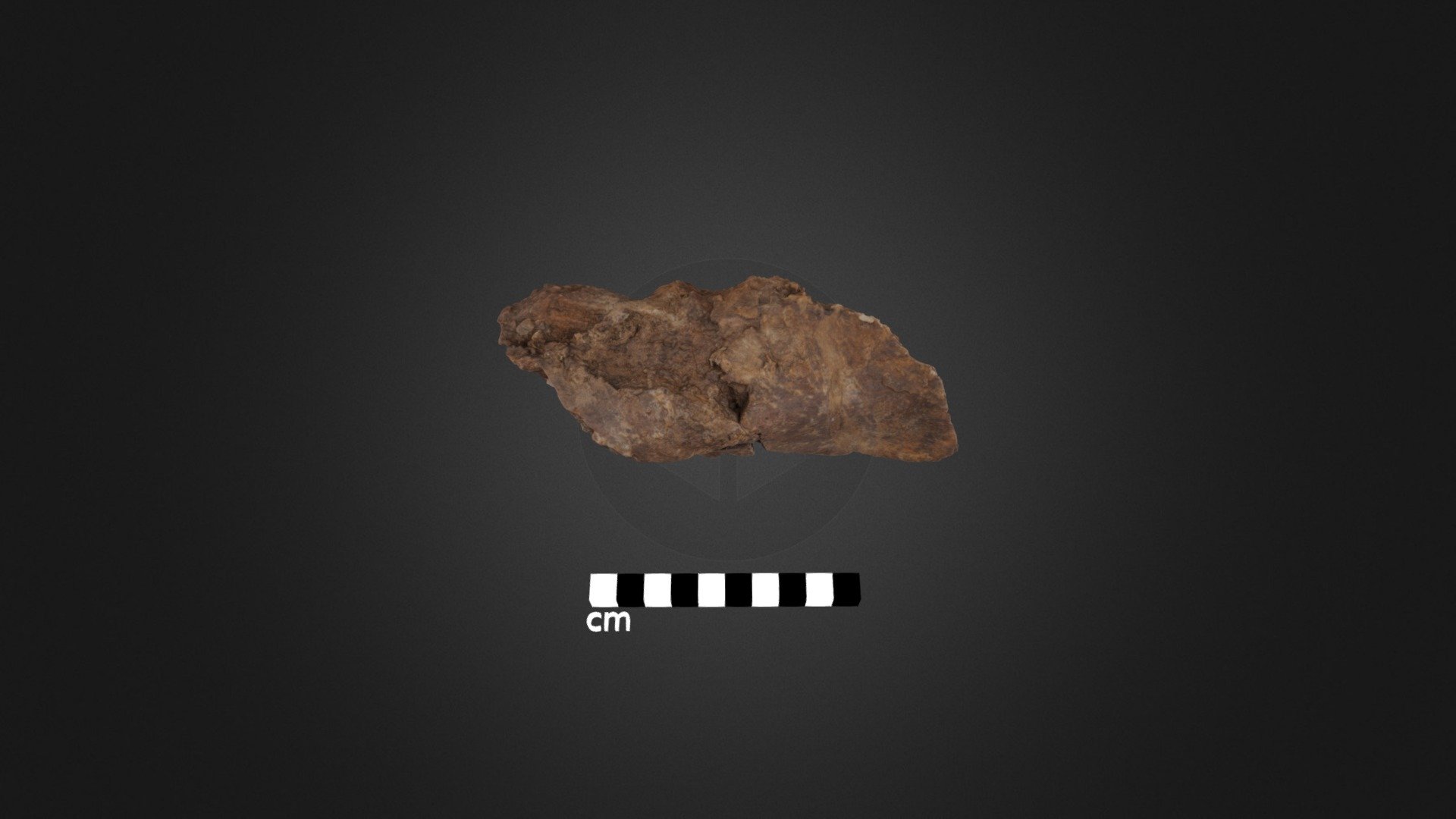 Small Frag Scaled - 3D model by Archaeology, Classics and Egyptology at ...