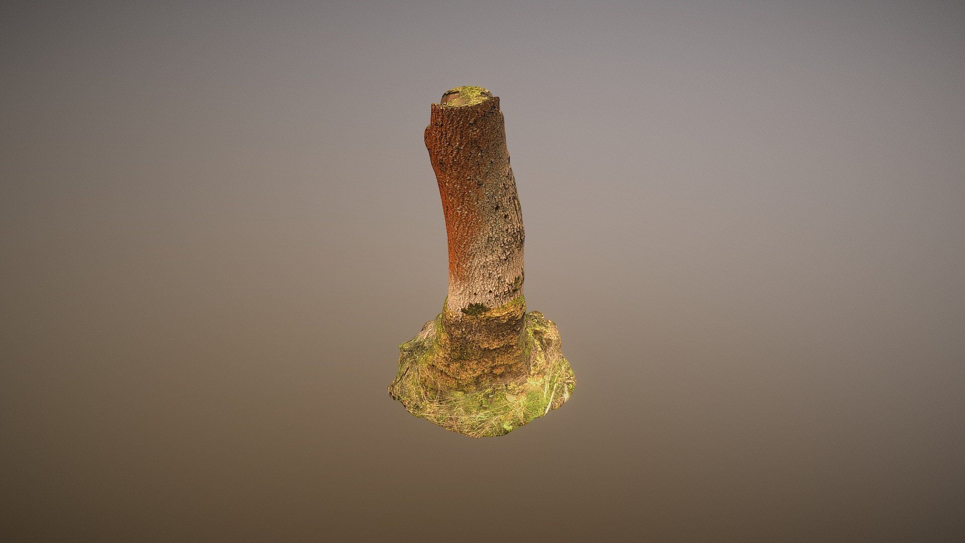 Mossy Tree - Download Free 3D model by wickens [545b790] - Sketchfab