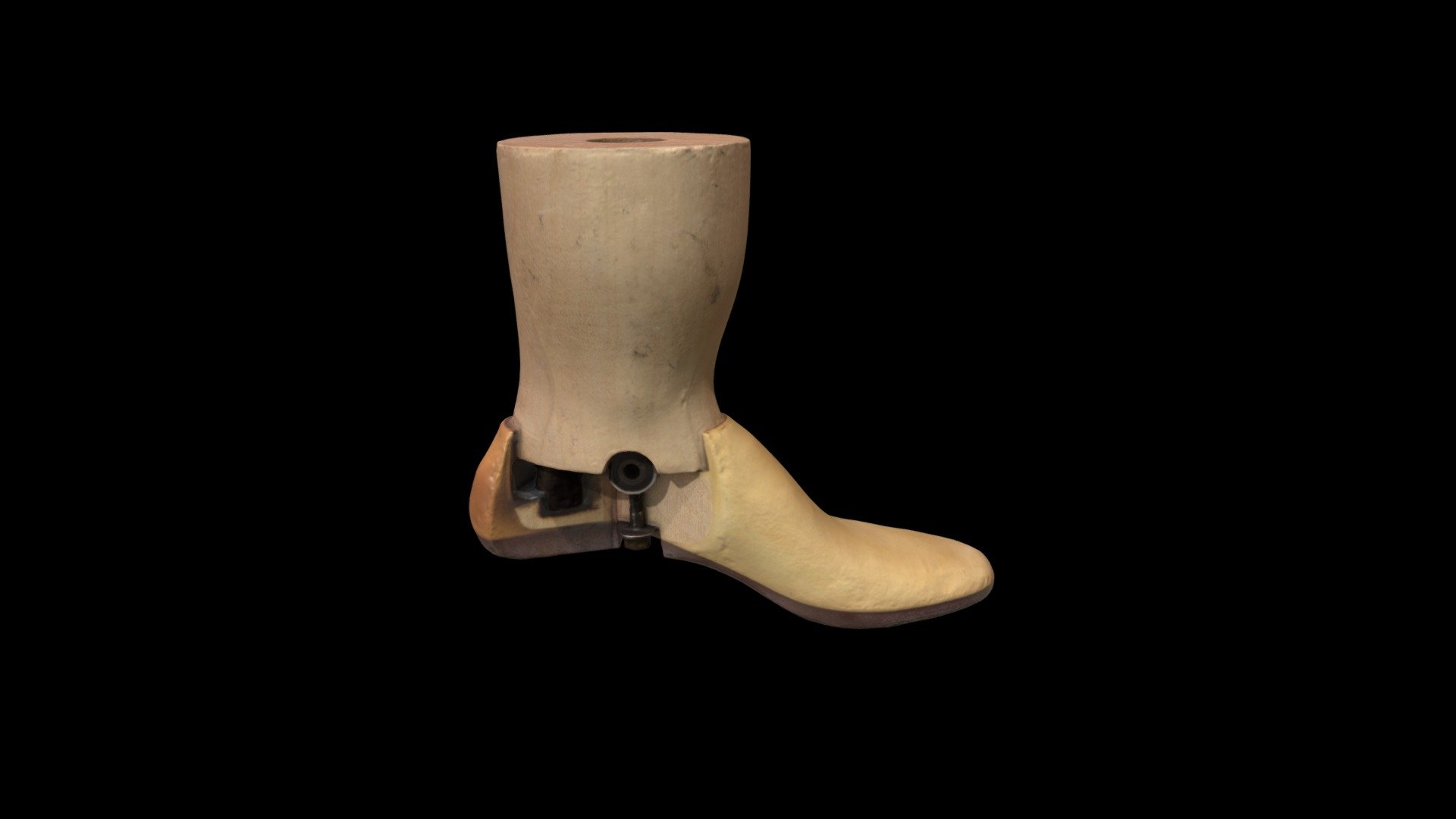 Prosthetic Foot - 3D model by Wangensteen Historical Library (@wanghist ...