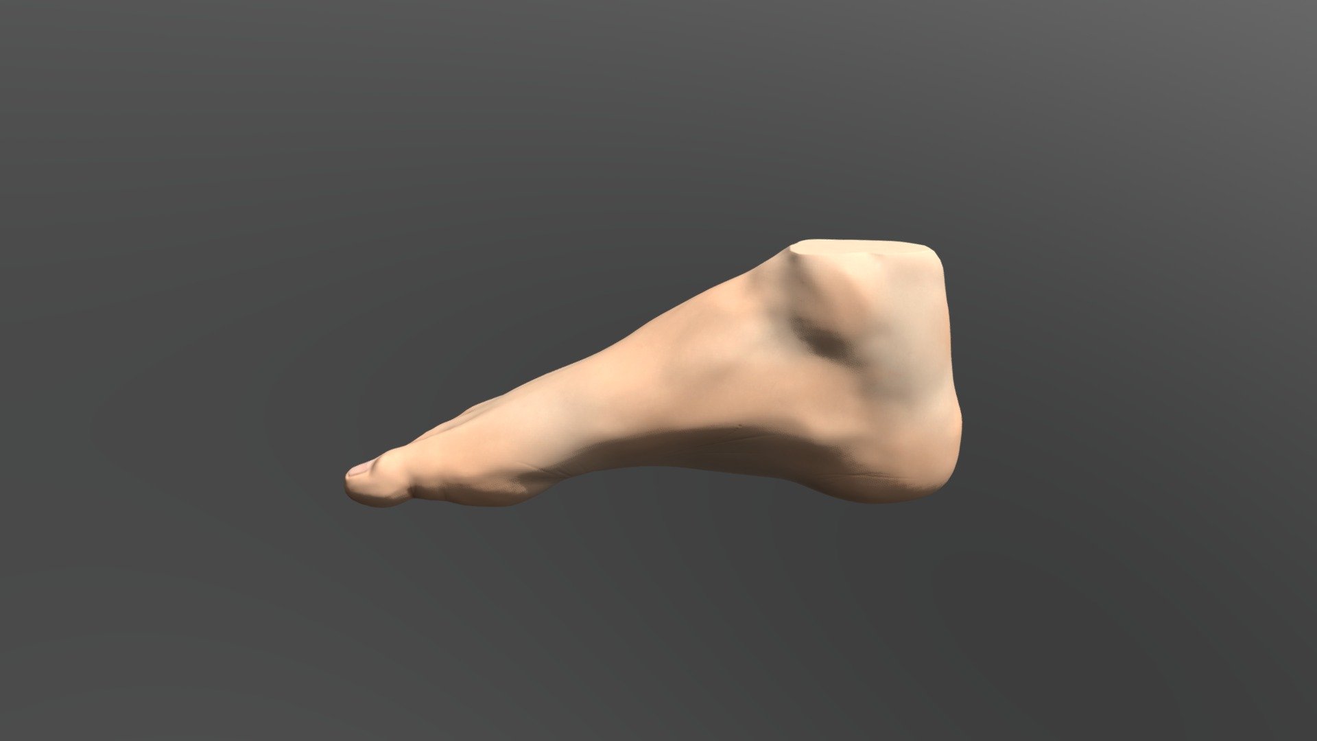 3D foot - 3D model by declarationofindependence [5462bdb] - Sketchfab