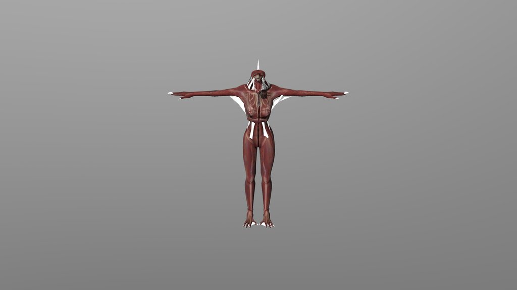 scp 939 - A 3D model collection by kizdima923 - Sketchfab