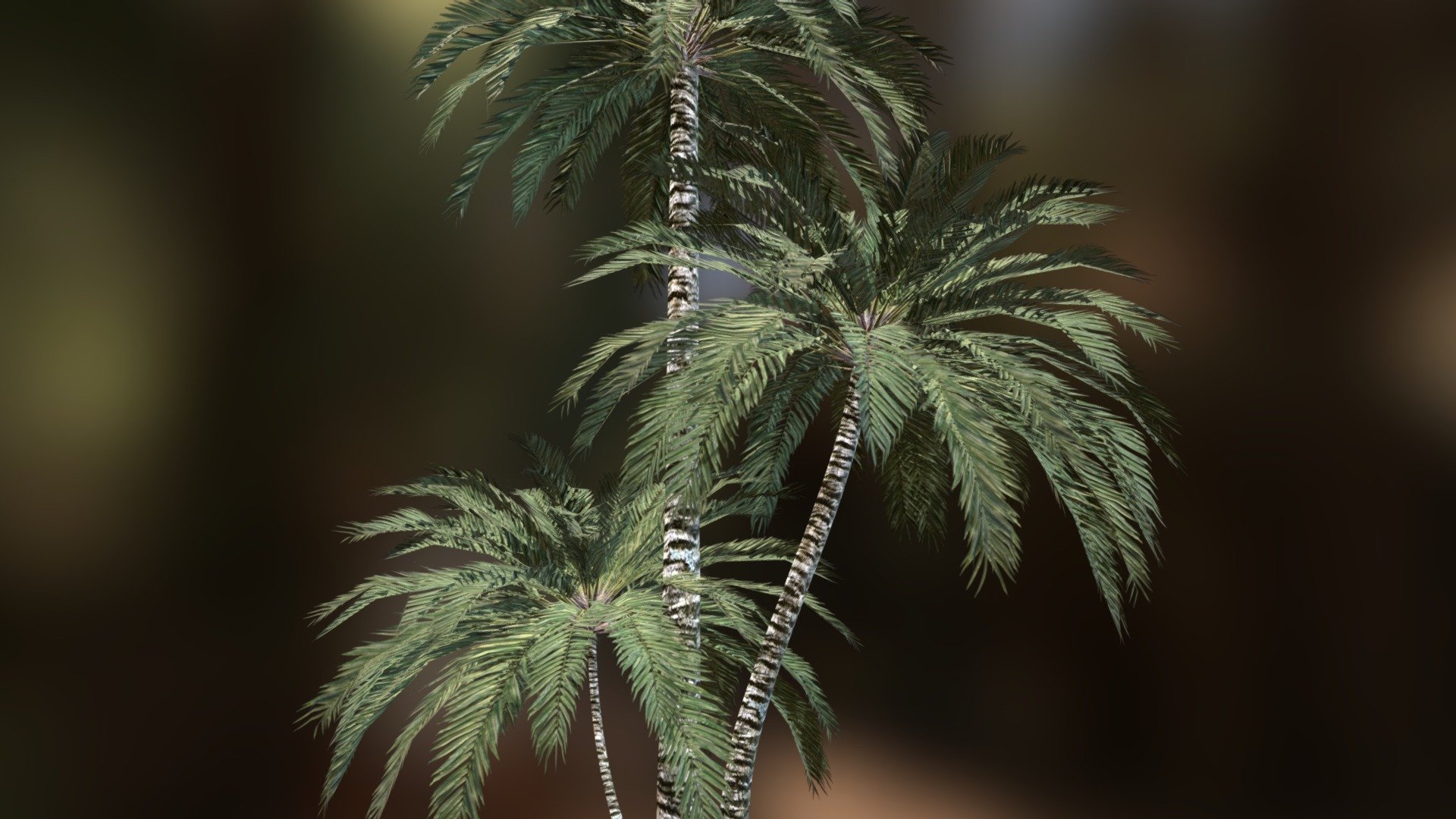 THREE BEAUTIFUL ANIMATED COCONUT TREES - Buy Royalty Free 3D model by ...