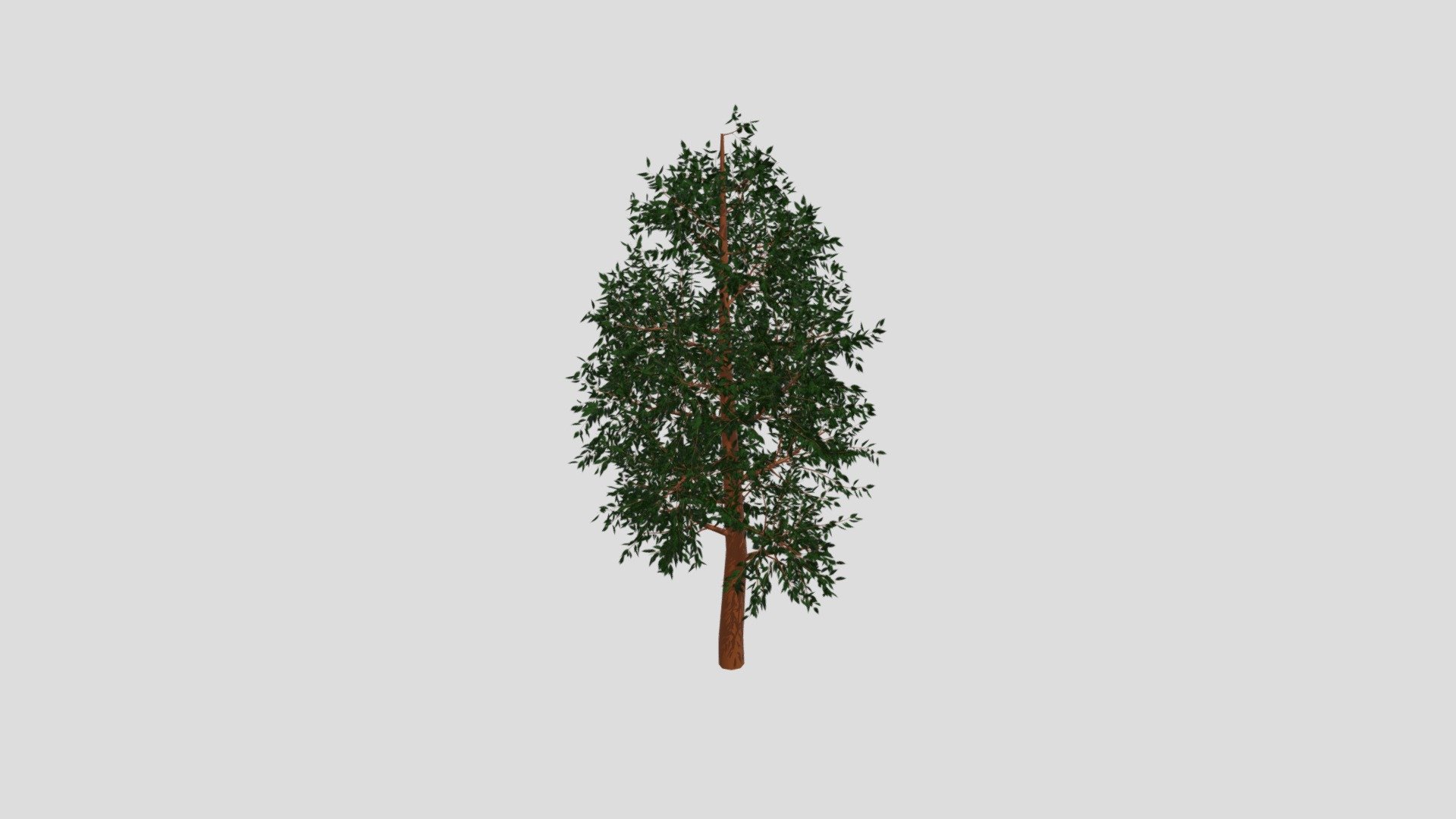 Simple Generated Tree - Download Free 3D model by restlessmonkey ...