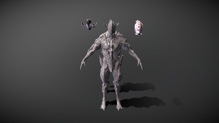 Nidus 3D models - Sketchfab