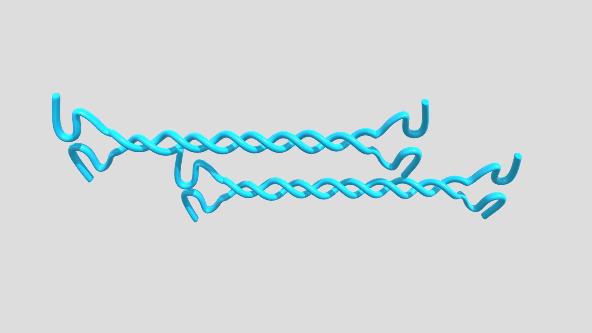 Cytoskeleton - Intermediate Filaments - 3D model by Júlio Panzera ...
