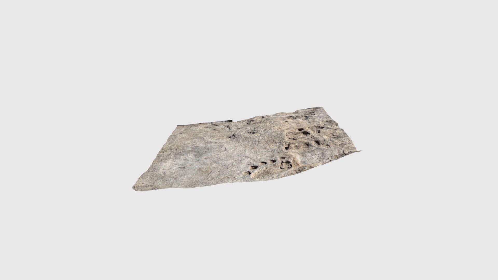 Short face bear prints - Download Free 3D model by whitesands.weevil ...
