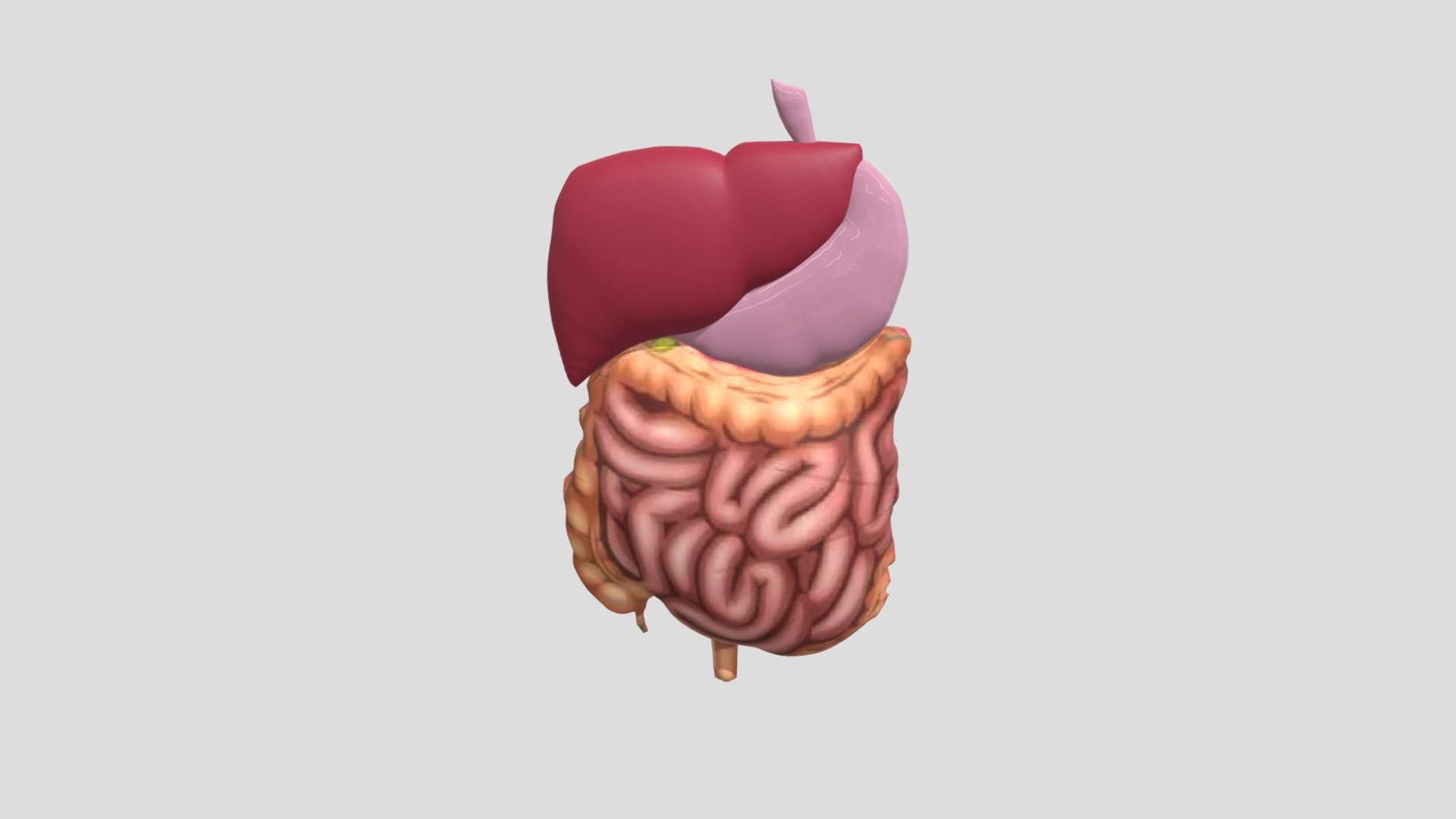 Organ - 3D model by anisanp [54730c4] - Sketchfab