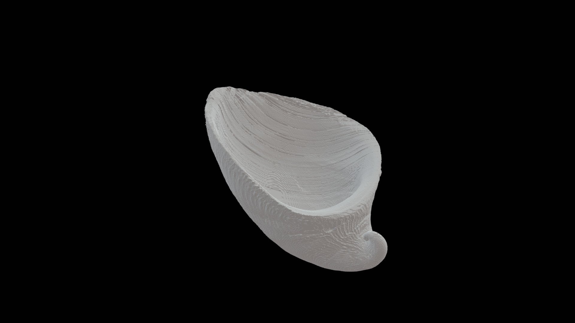 Capulus ungaricus - µCT scan - 3D model by SOSA - Senckenberg Ocean ...