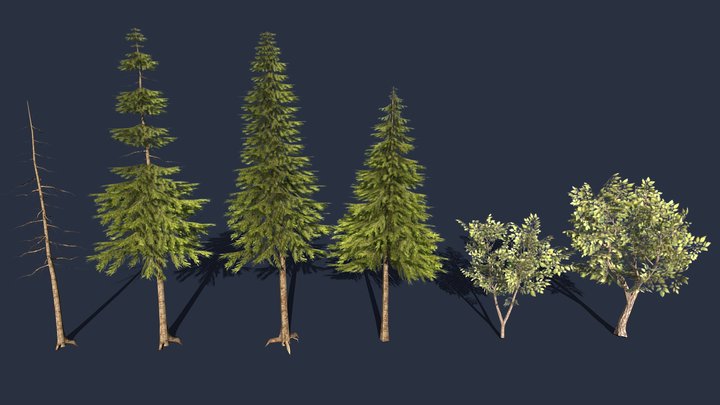 Pinetree 3D models - Sketchfab