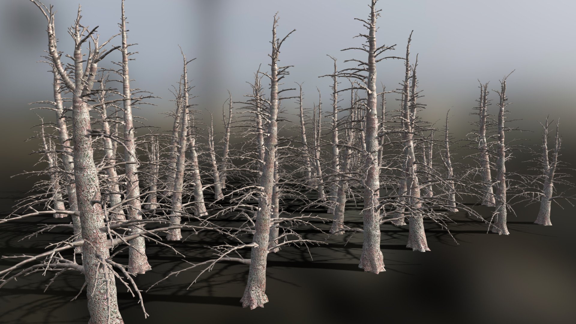 36 Dead Fir Trees Pack (medium-Poly) - Download Free 3D model by Sereib ...