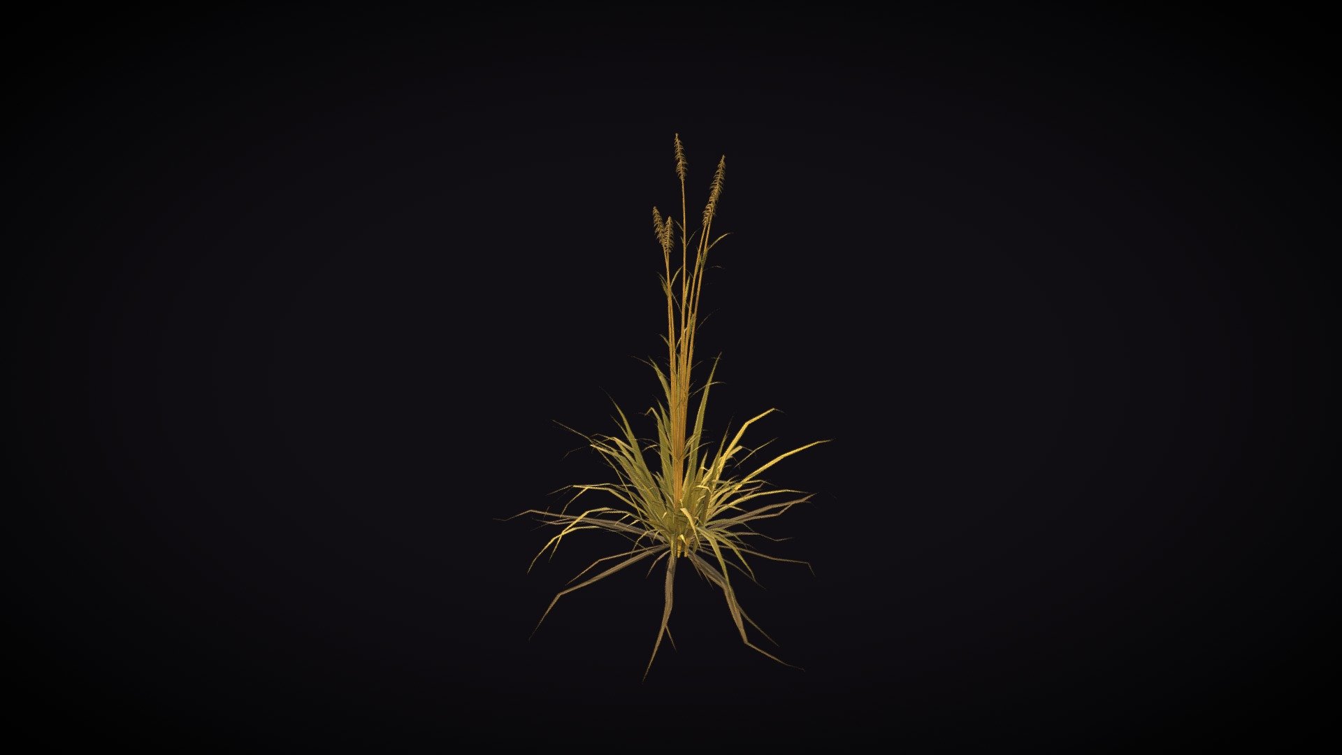 Grass - vegetation - 3D model by raguramkgr (@ragukgr) [5479974 ...