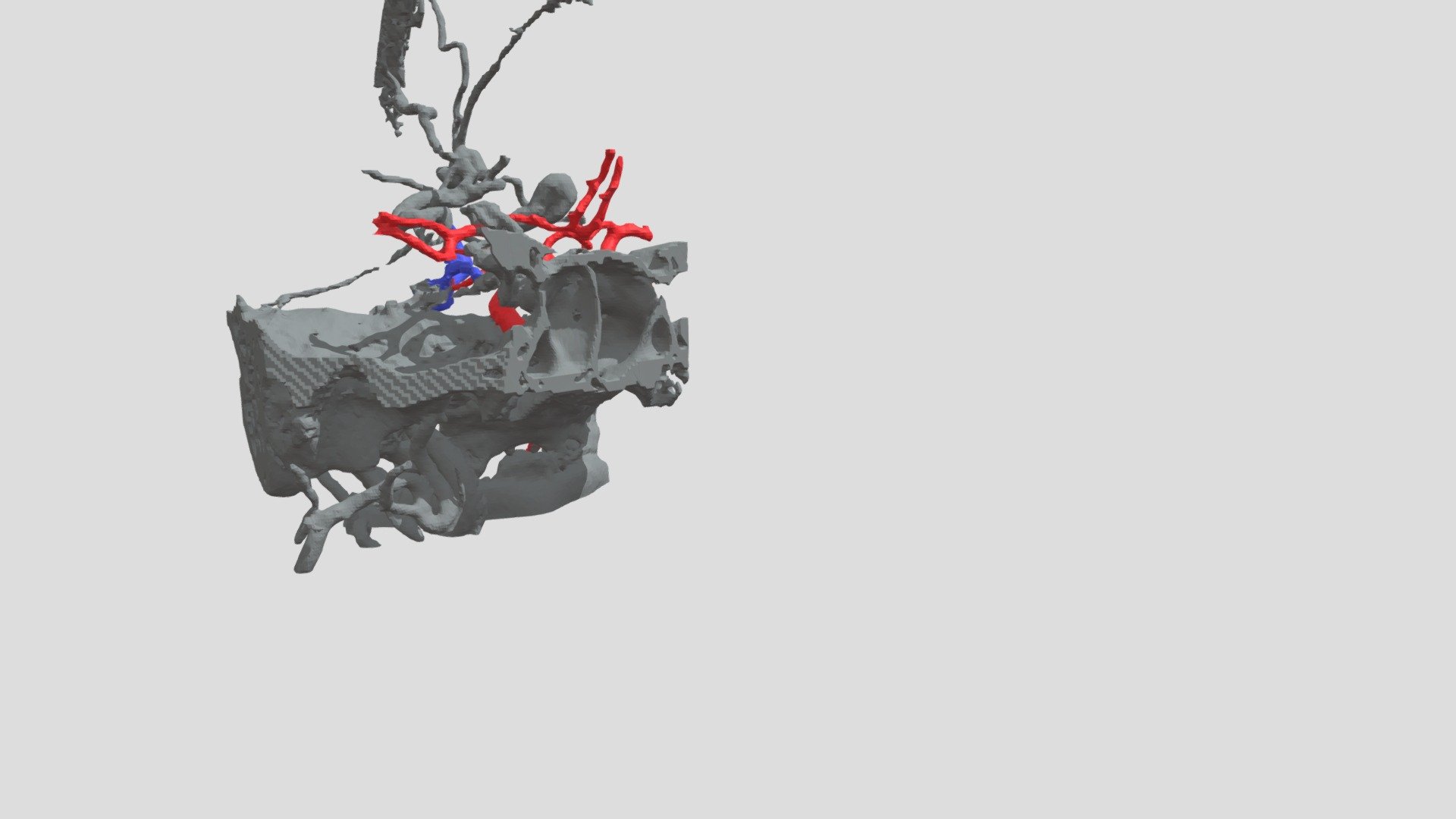Pinti Color - 3D model by vito030490 [547b8da] - Sketchfab