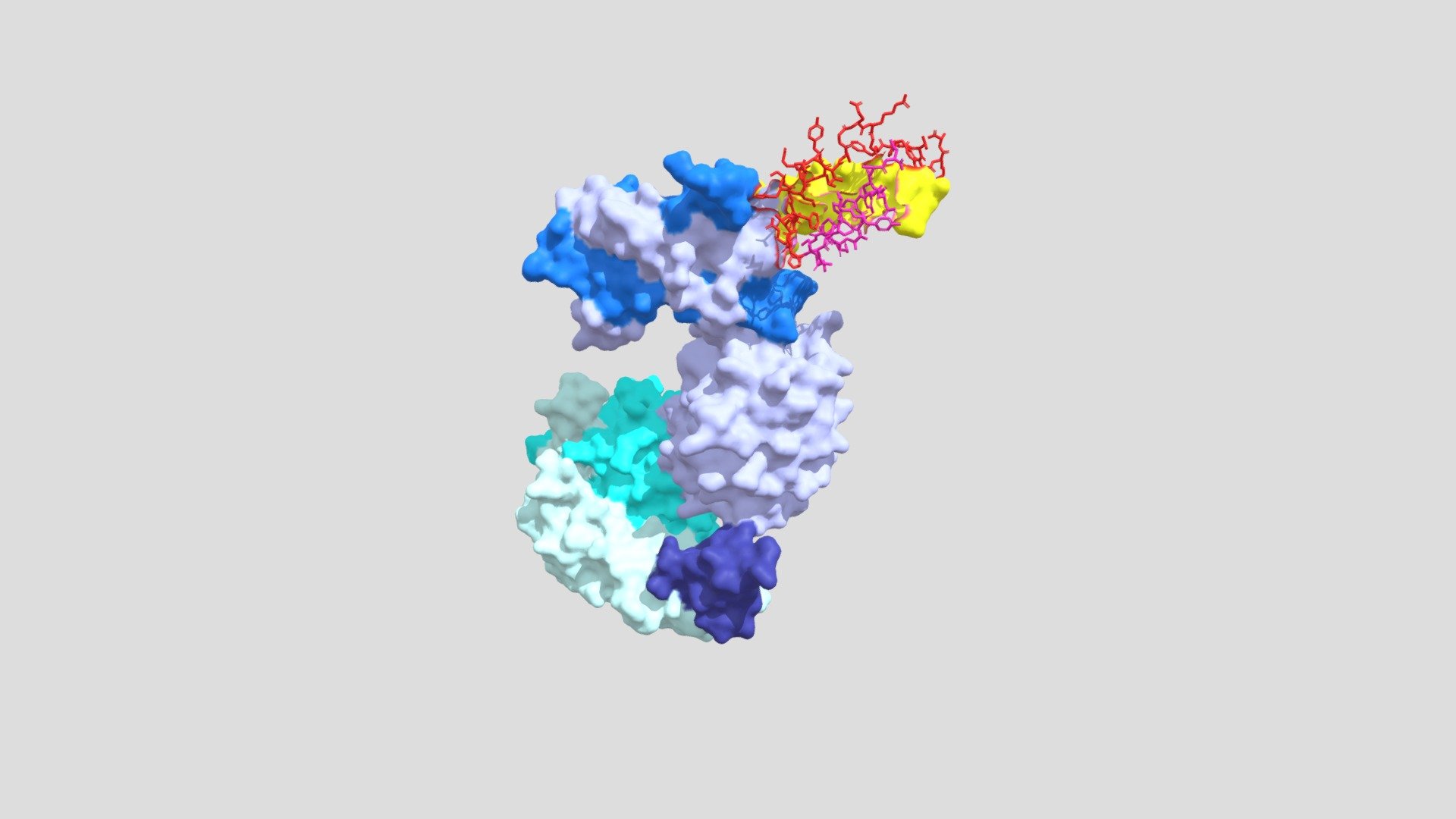 6CE9 - Insulin receptor subunit w/ insulin - Download Free 3D model by ...