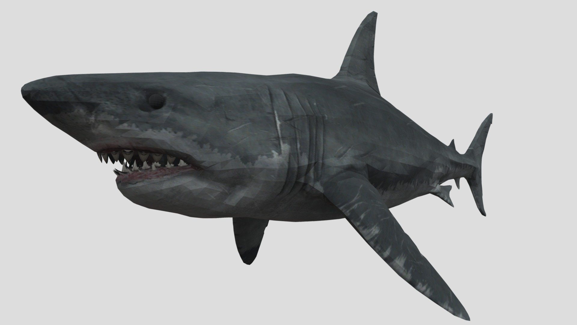 Bruce The Shark - Download Free 3D model by seth the yutyrannus (@slang107123456789) [548a174 ...