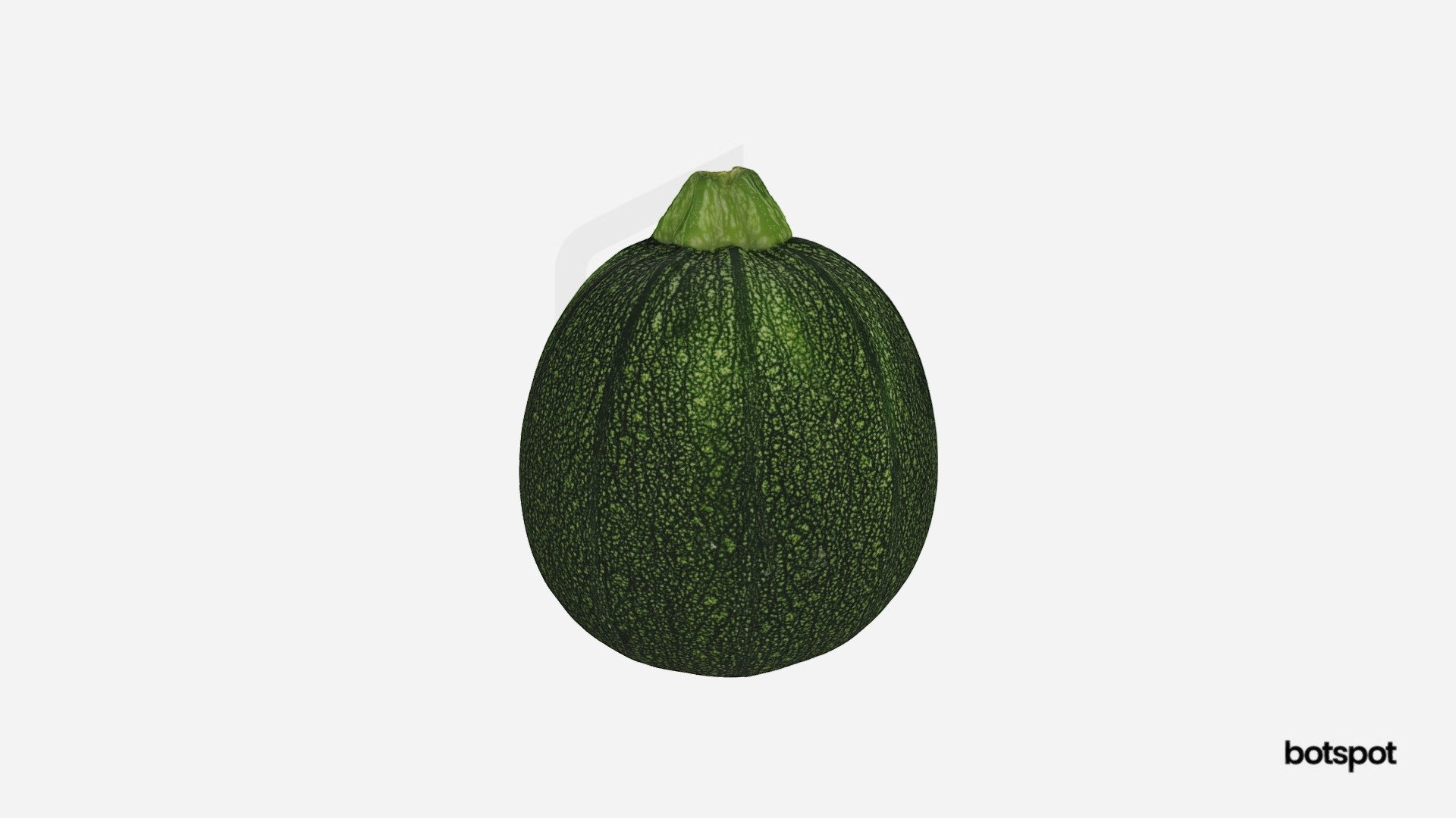 Round courgette - 3D model by botspot (@botspot3d) [548a326] - Sketchfab