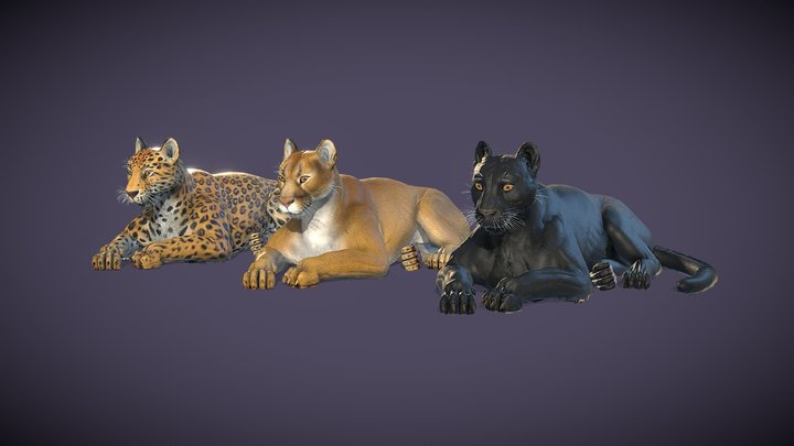 Panther 3D models - Sketchfab