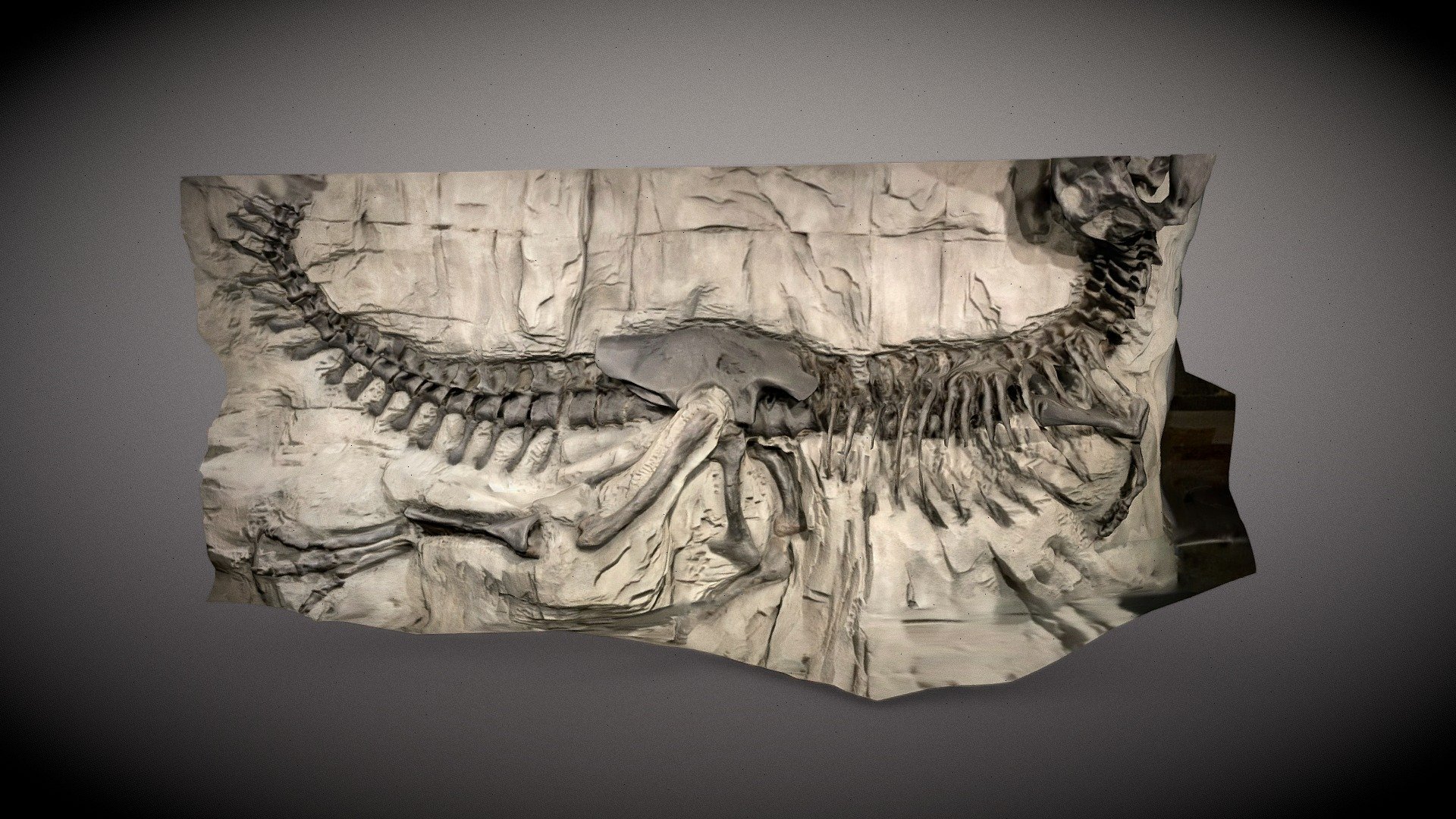 Tyrannosaurus Fossil - Download Free 3D model by mtaesiri [54b0956 ...