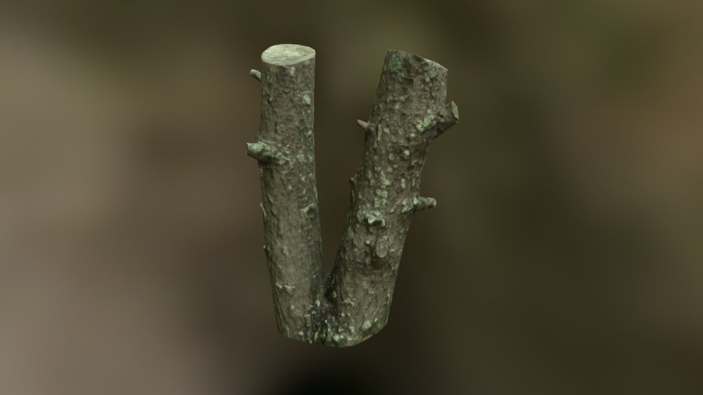 Tree_Split_01 - 3D model by jacobchrist [54b9122] - Sketchfab
