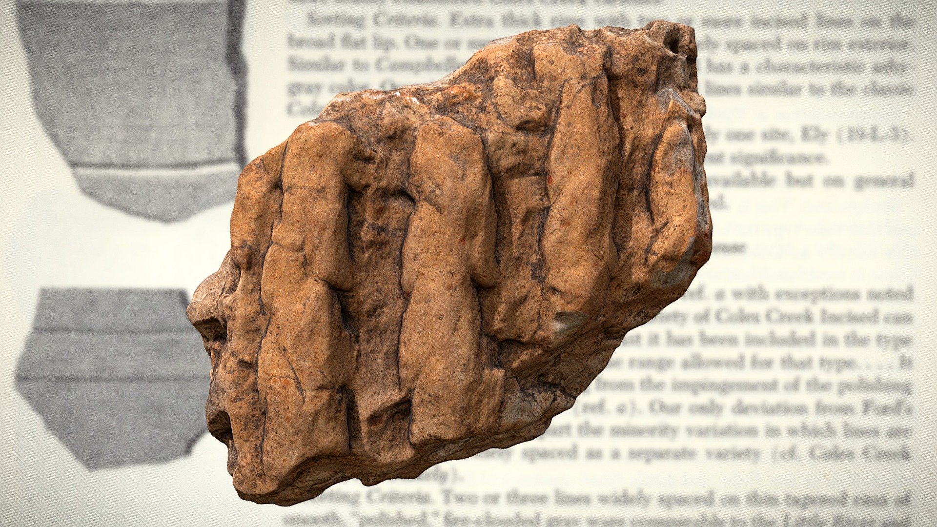 Hollyknowe Pinched Sherd - Download Free 3D model by Frank McMains ...