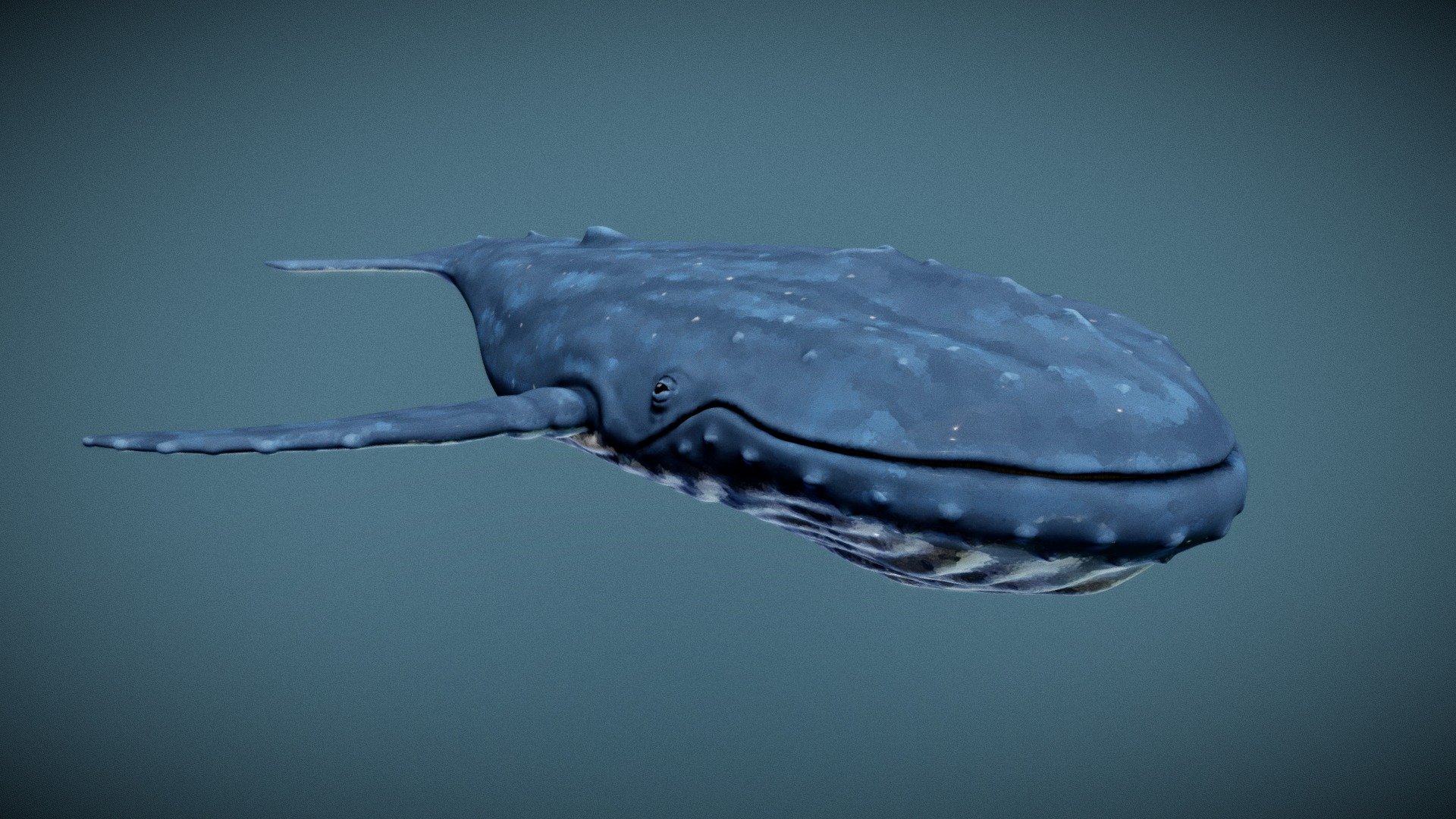 Whale - stylized sculpture - Buy Royalty Free 3D model by Mixed8ananas ...