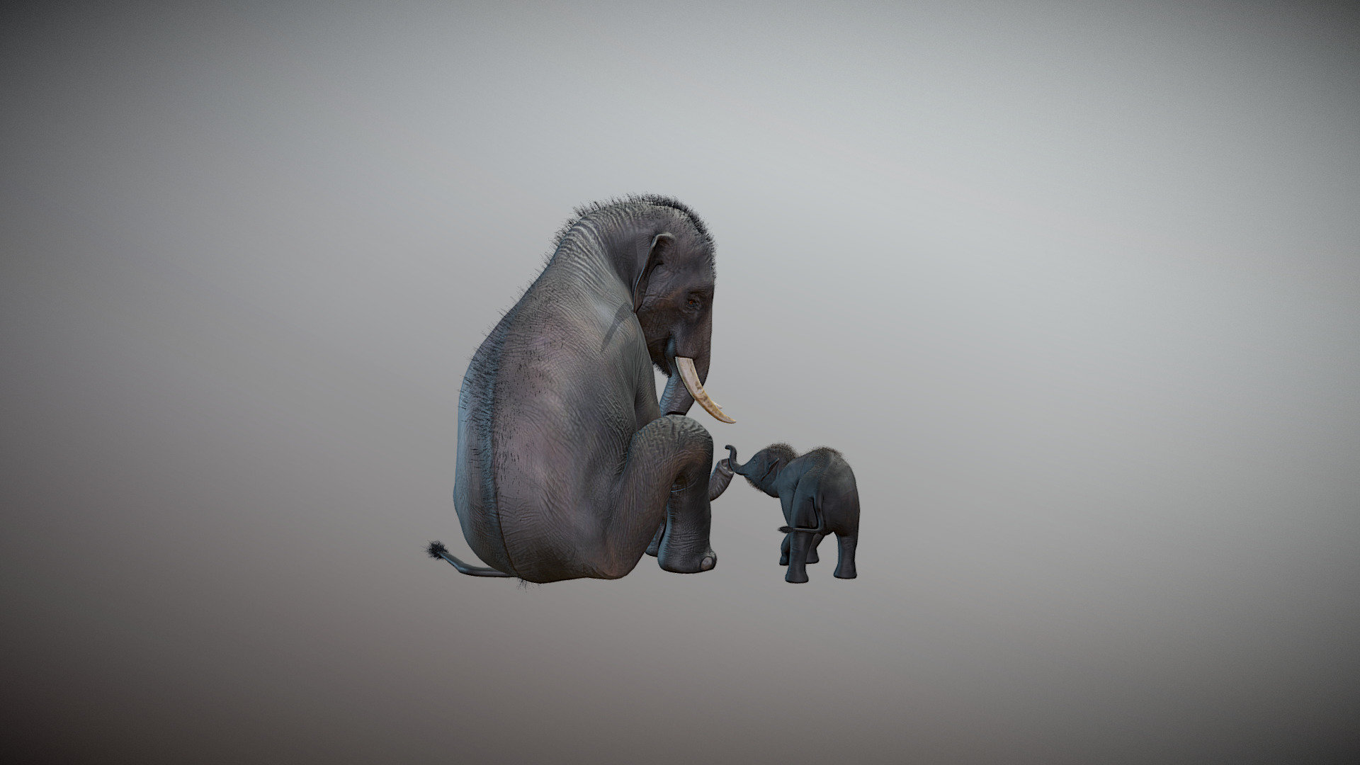 Indian Elephants - 3D model by alessandromastronardi [54c8769] - Sketchfab