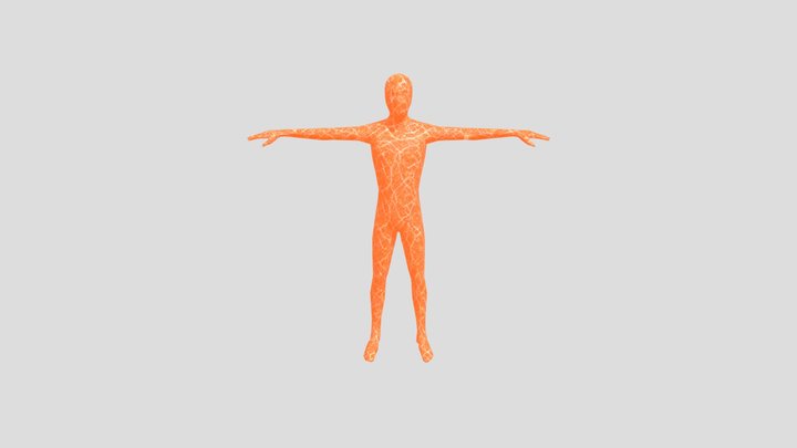 Bonelab 3D models - Sketchfab