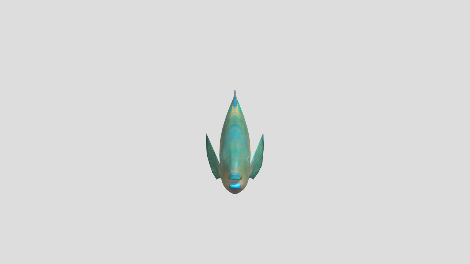 Rainbow Parrotfish - 3D model by SAVIA_Colombia (@Minambiente_Col ...