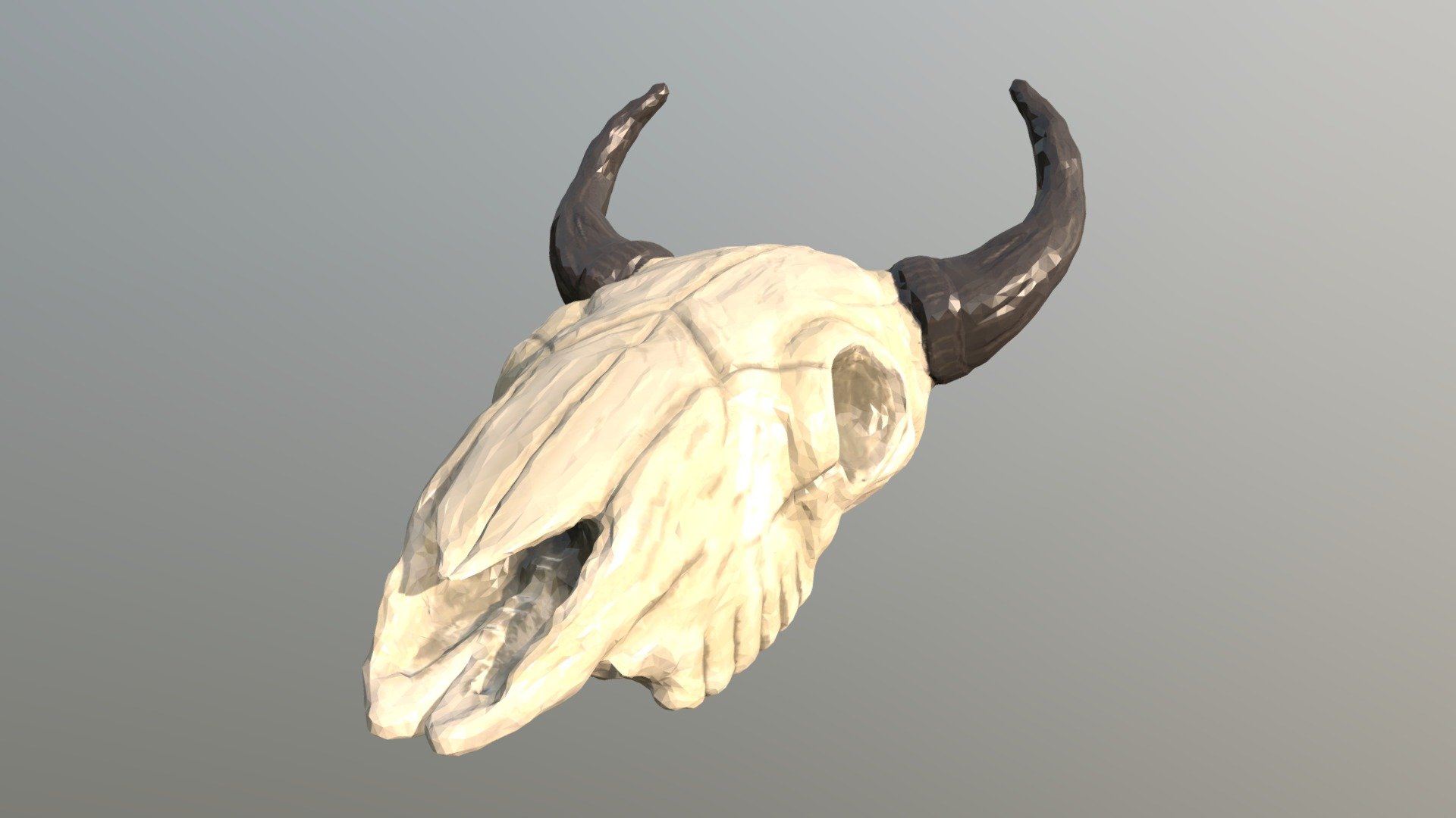 Cow Skull - 3D model by Drug_addict [54efb10] - Sketchfab