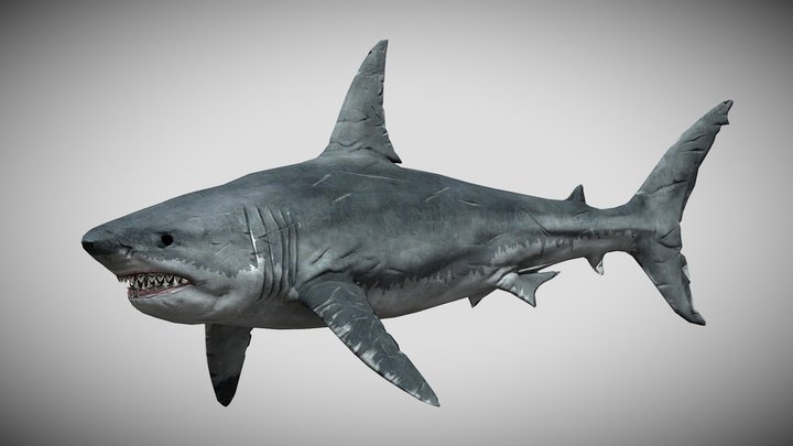 Sea 3D models - Sketchfab
