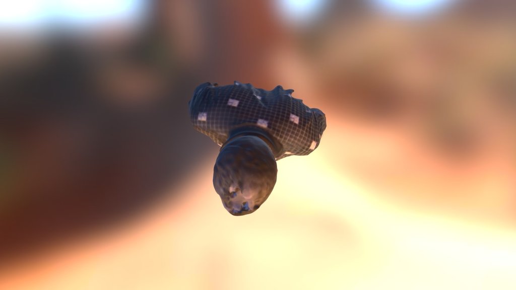 Ron - 3D model by joepardue [550688e] - Sketchfab